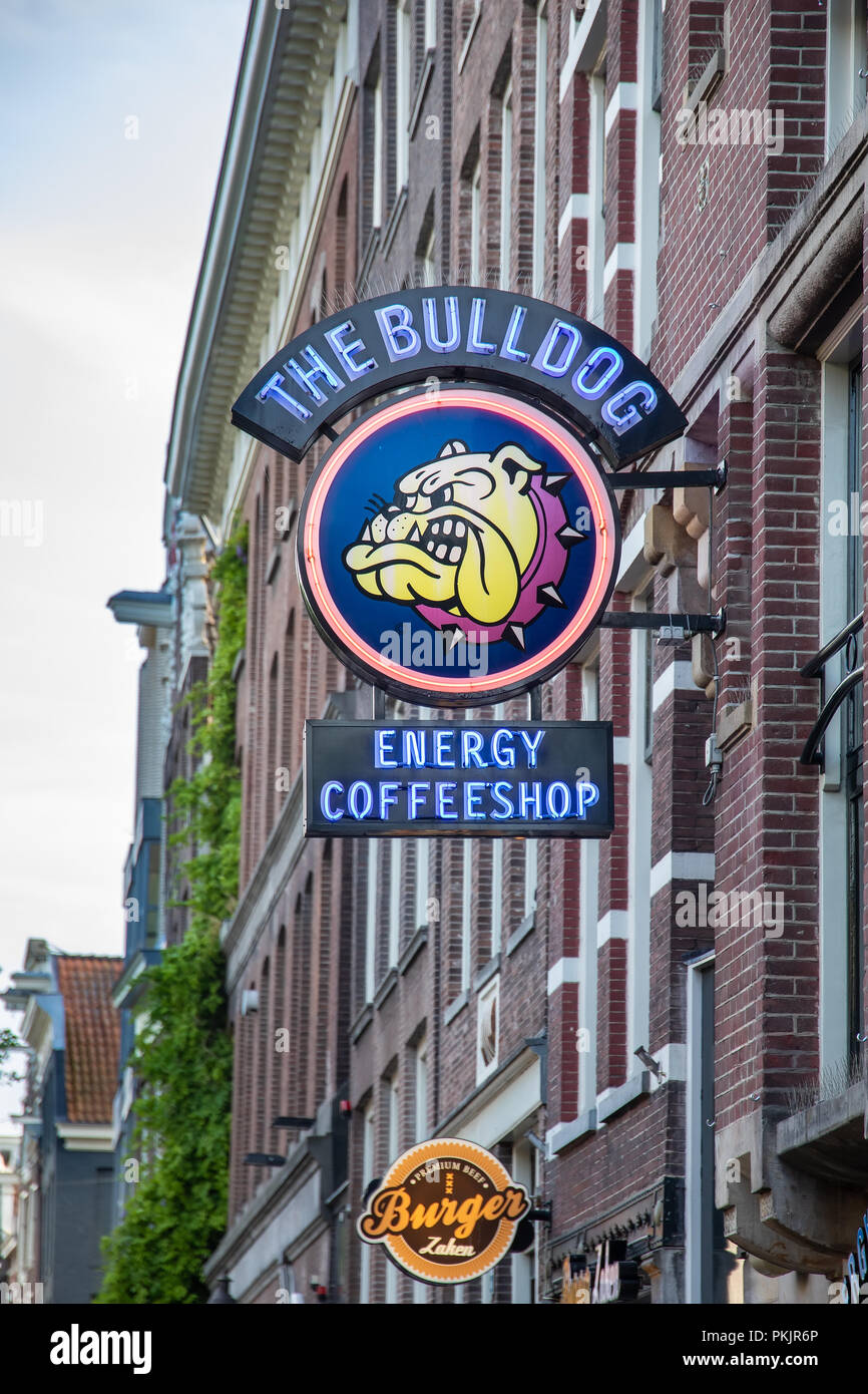 Bulldog bar amsterdam netherlands hi-res stock photography and images ...