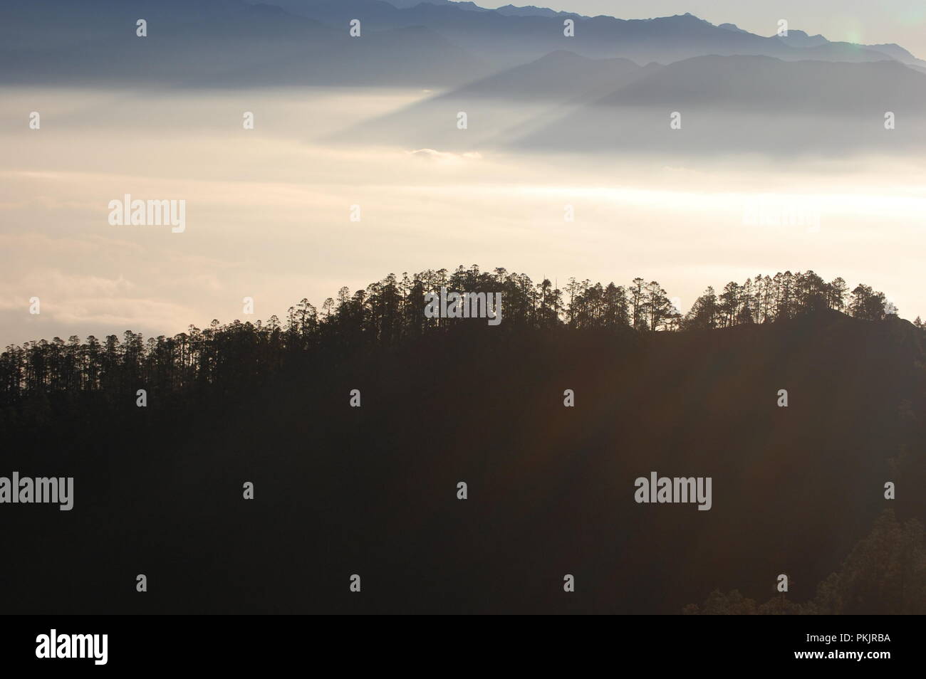 Kalinchowk trip, Nepal Stock Photo - Alamy