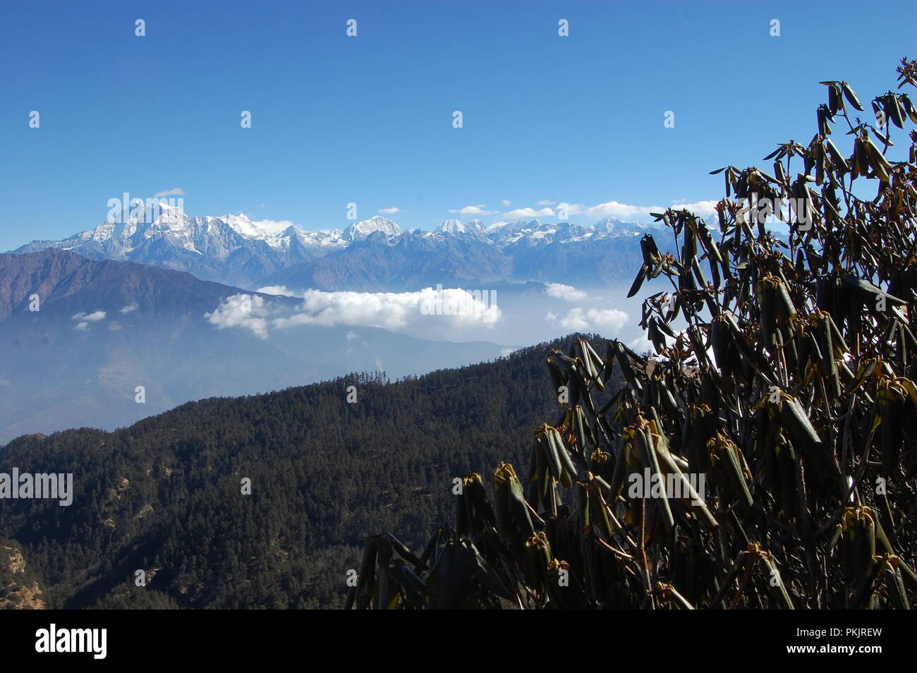 Kalinchowk trip, Nepal Stock Photo - Alamy