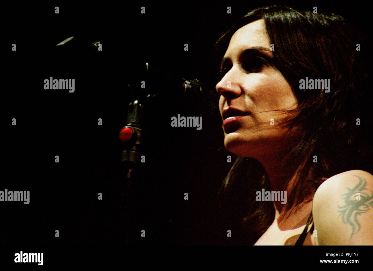 Concert of the French singer Zazie in Forest National, Brussels ...