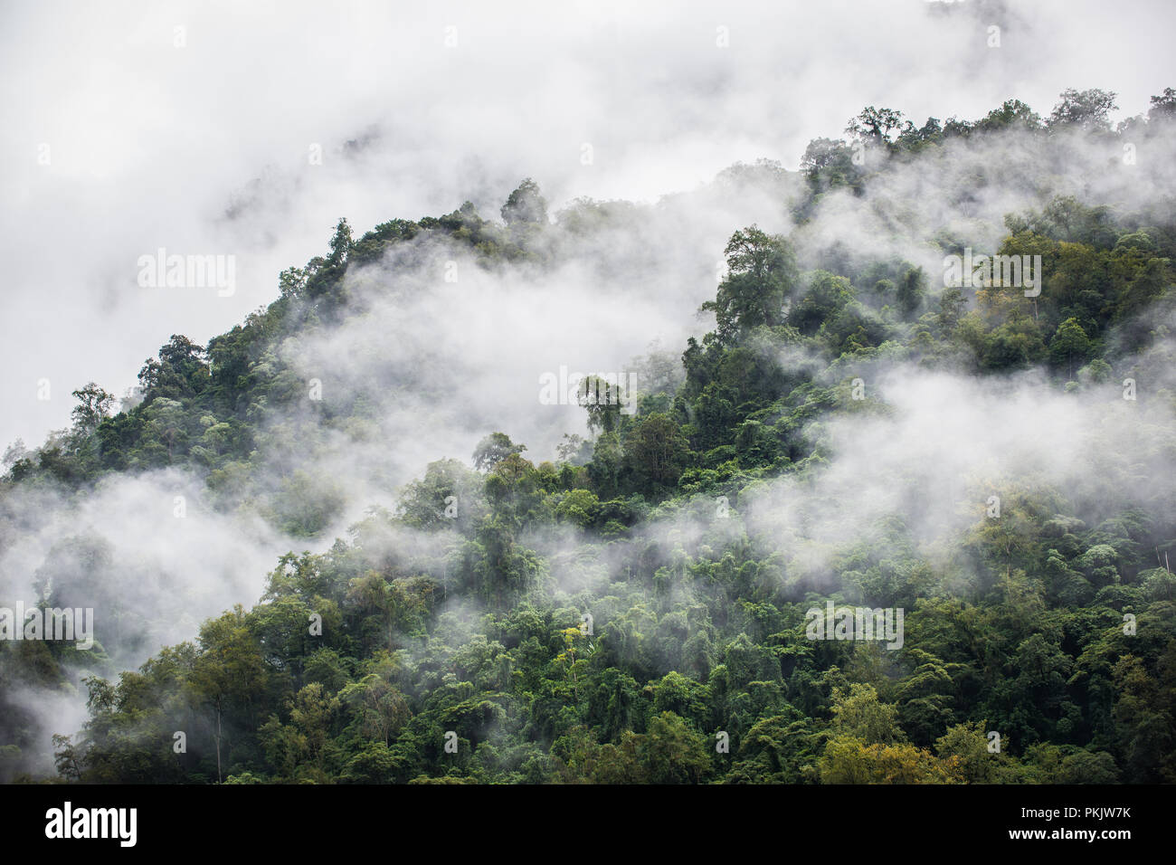 Medog tibet hi-res stock photography and images - Alamy