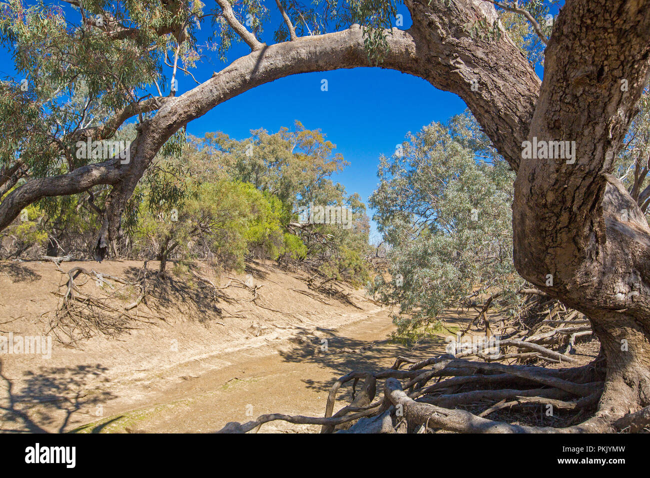 Culgoa river hi-res stock photography and images - Alamy