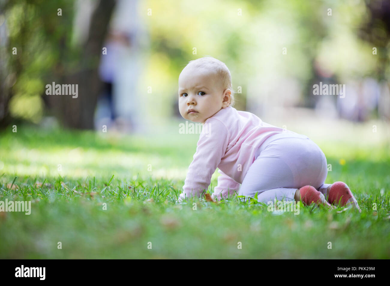 Cute baby girl crawling on lawn in park and looking at camera Stock ...