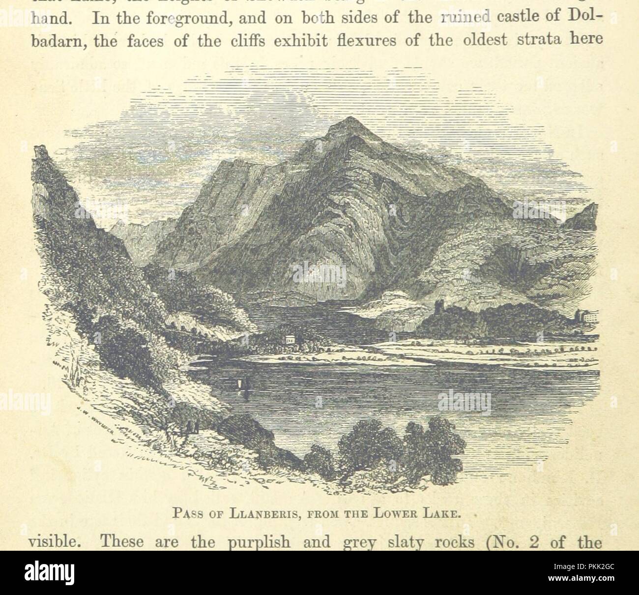 Image from page 56 of '[Siluria. The history of the oldest known rocks ...