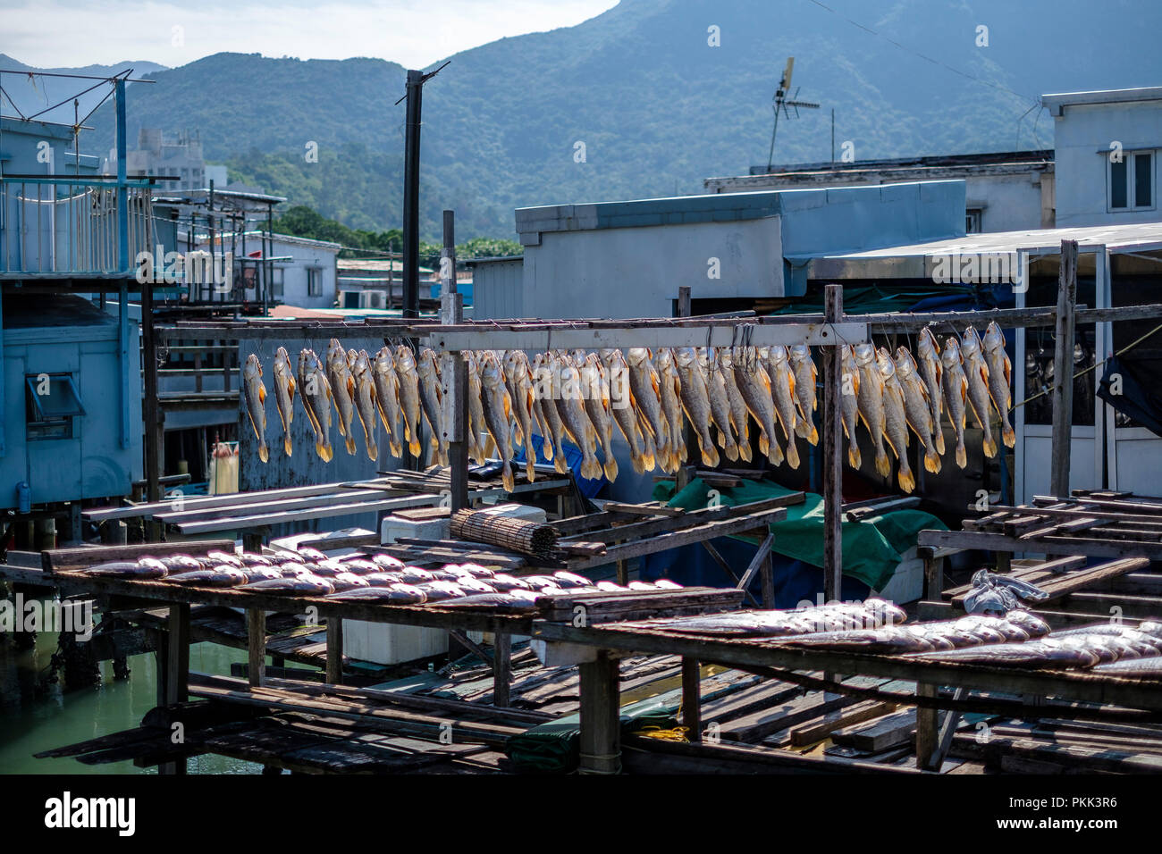 Fish storage asia hi-res stock photography and images - Alamy