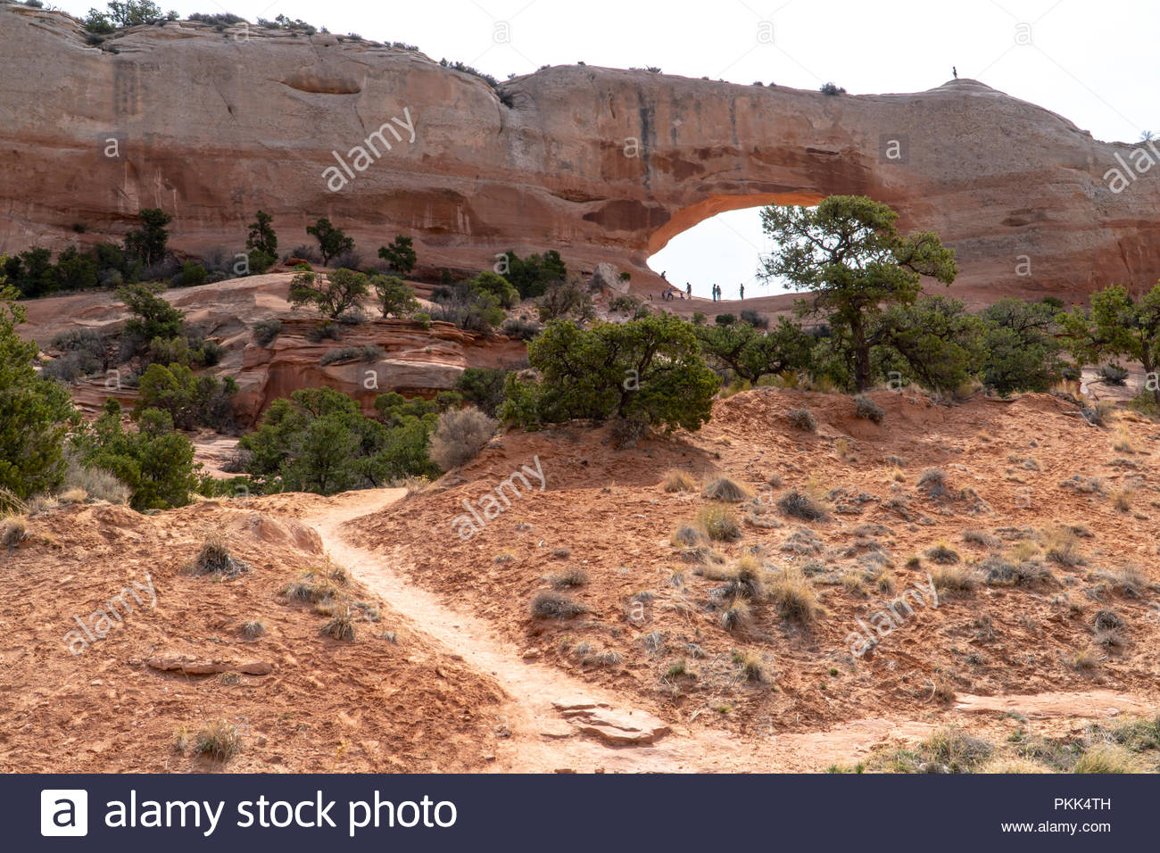 Wilsons Arch Stock Photos & Wilsons Arch Stock Images - Alamy