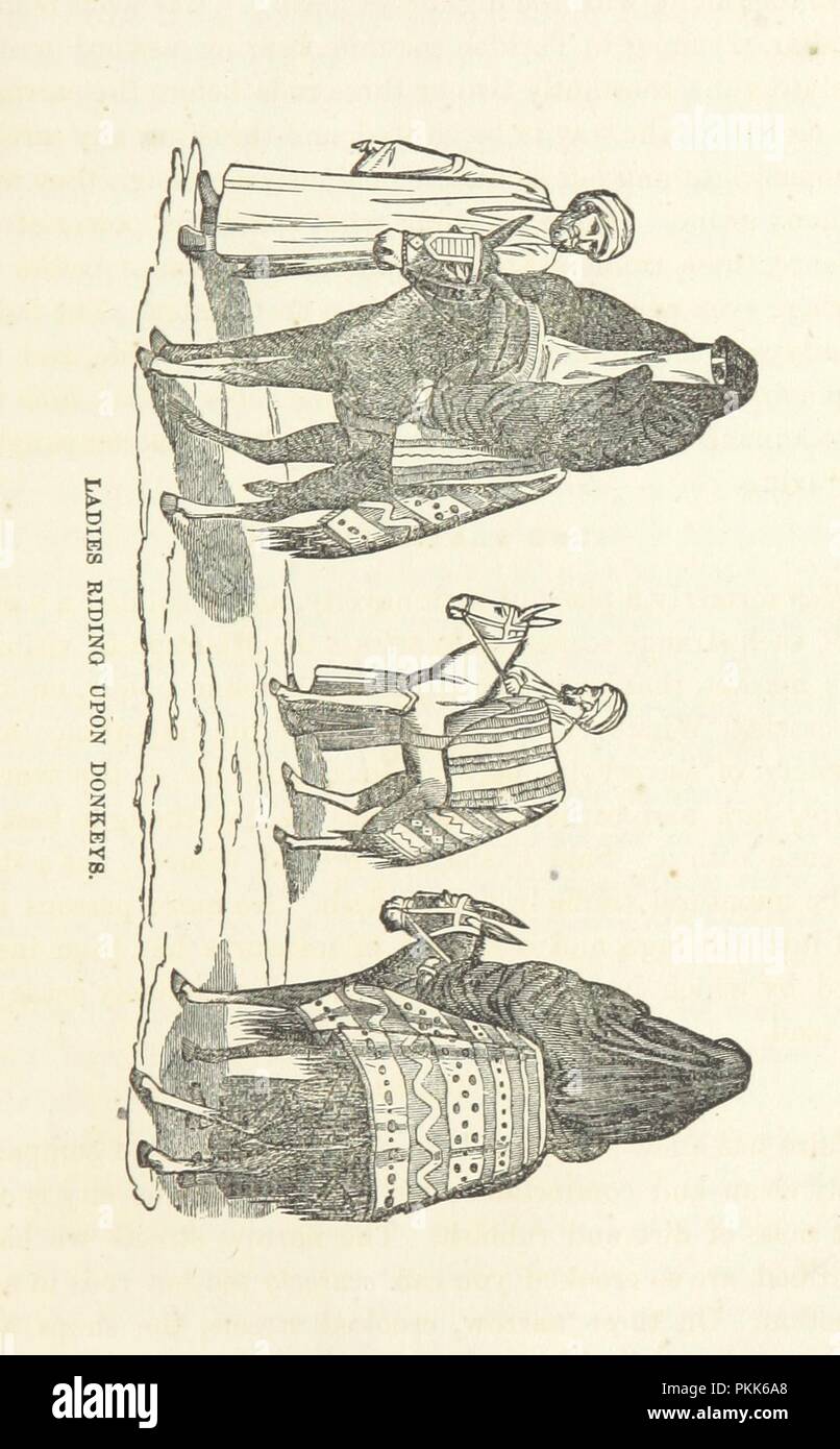 Image from page 111 of 'The Handwriting of God in Egypt, Sinai, and the ...