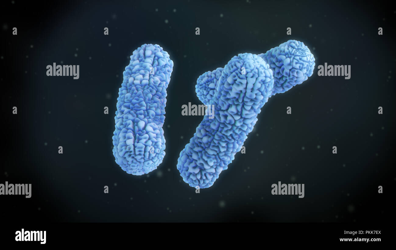 3d illustration of a Burkholderia Cepacia Bacteria Stock Photo - Alamy