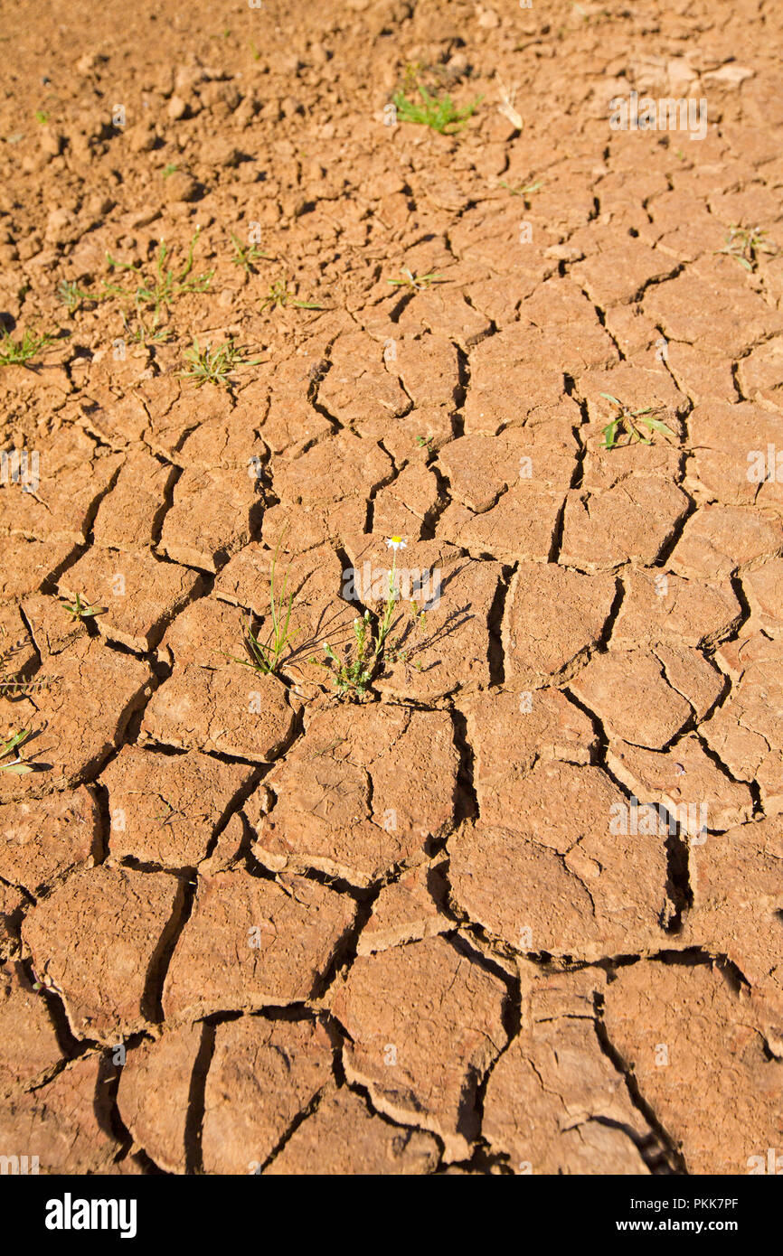Cracked earth drought australia hi-res stock photography and images - Alamy