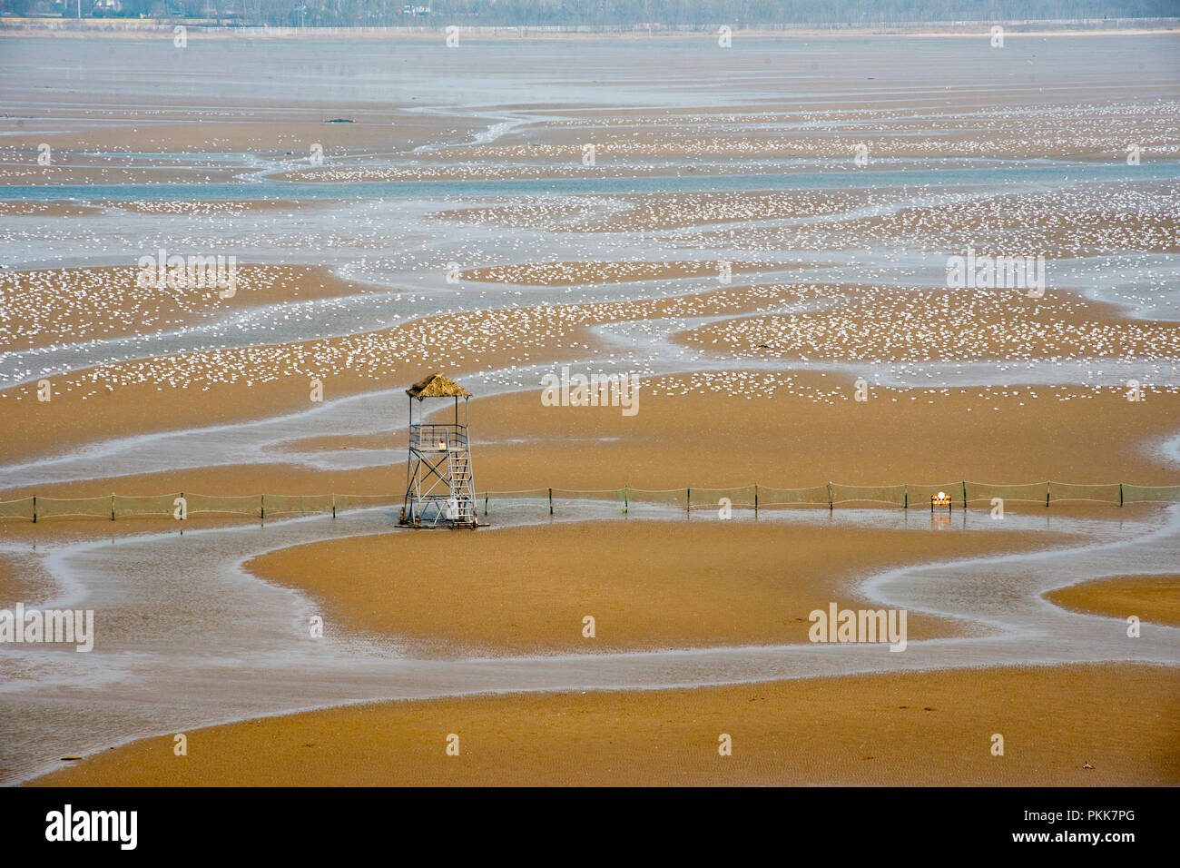 Beidaihe, hebei province wetland landscape Stock Photo - Alamy