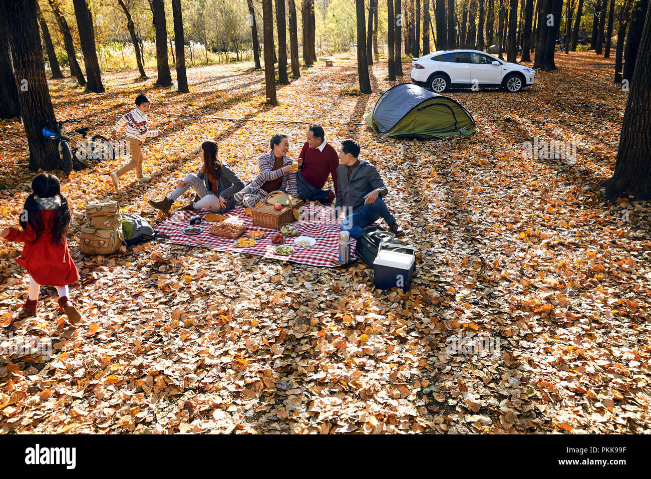Happy family outdoor outing Stock Photo - Alamy