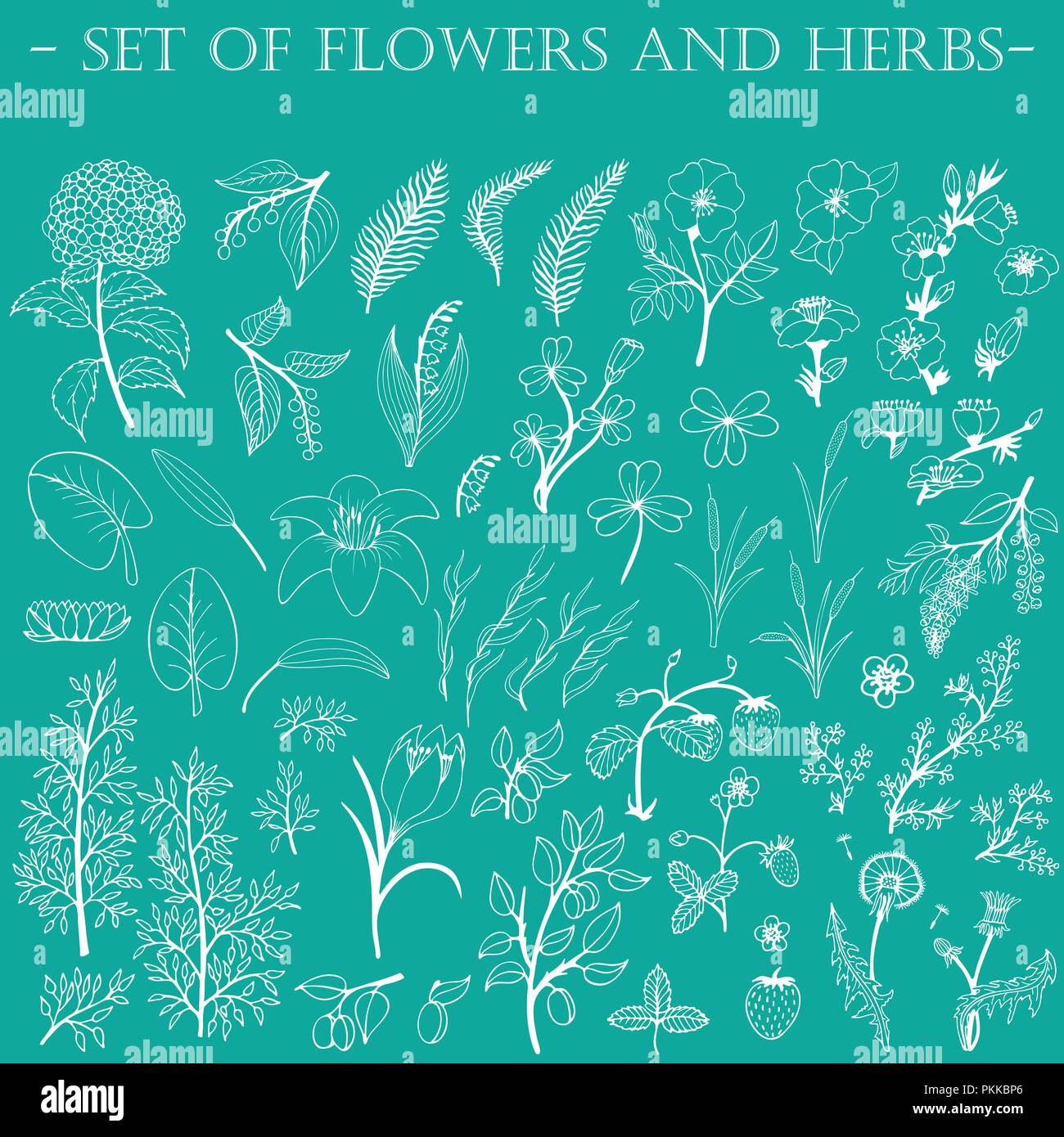 Wildflowers wild flowers Stock Vector Images - Alamy