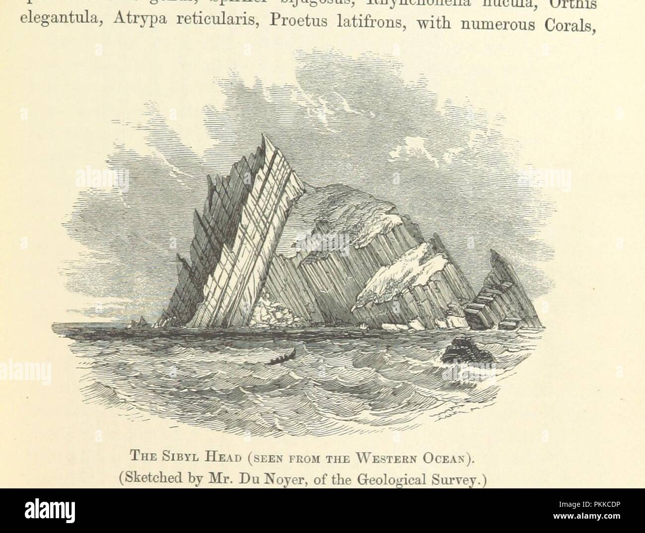 Image from page 205 of '[Siluria. The history of the oldest known rocks ...