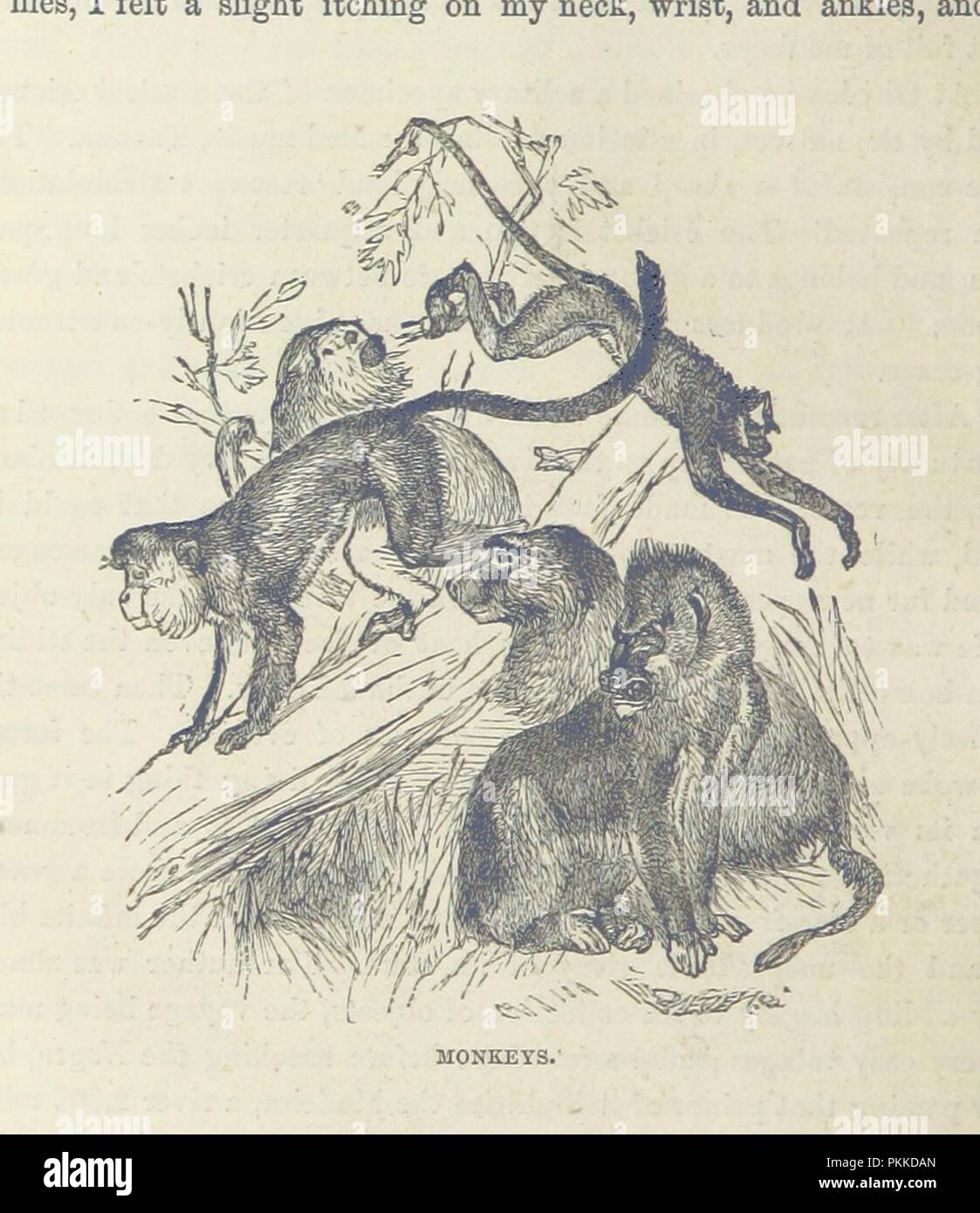 Image from page 220 of 'The Golden Americas. A story of great ...