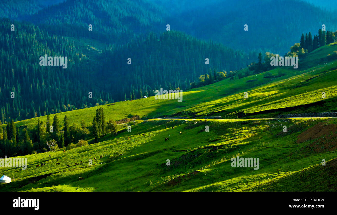 Nalati grassland in xinjiang Stock Photo - Alamy
