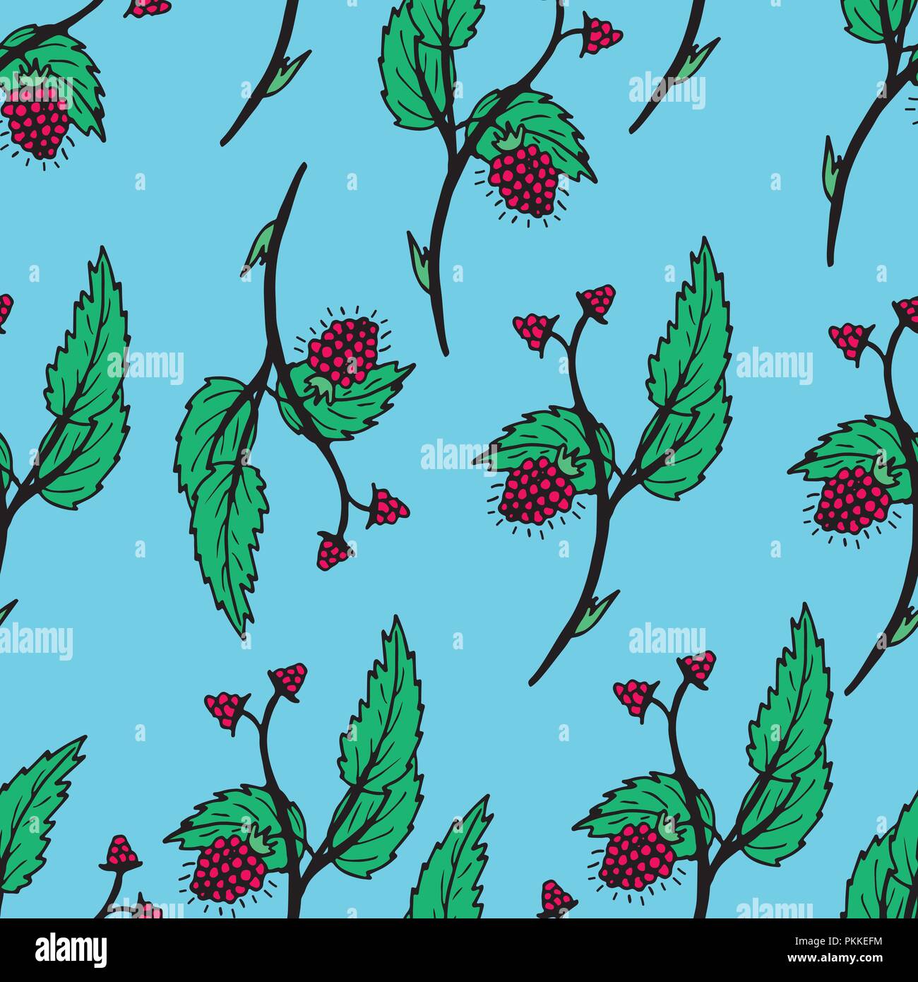 Raspberry botanical illustration Stock Vector Images - Alamy
