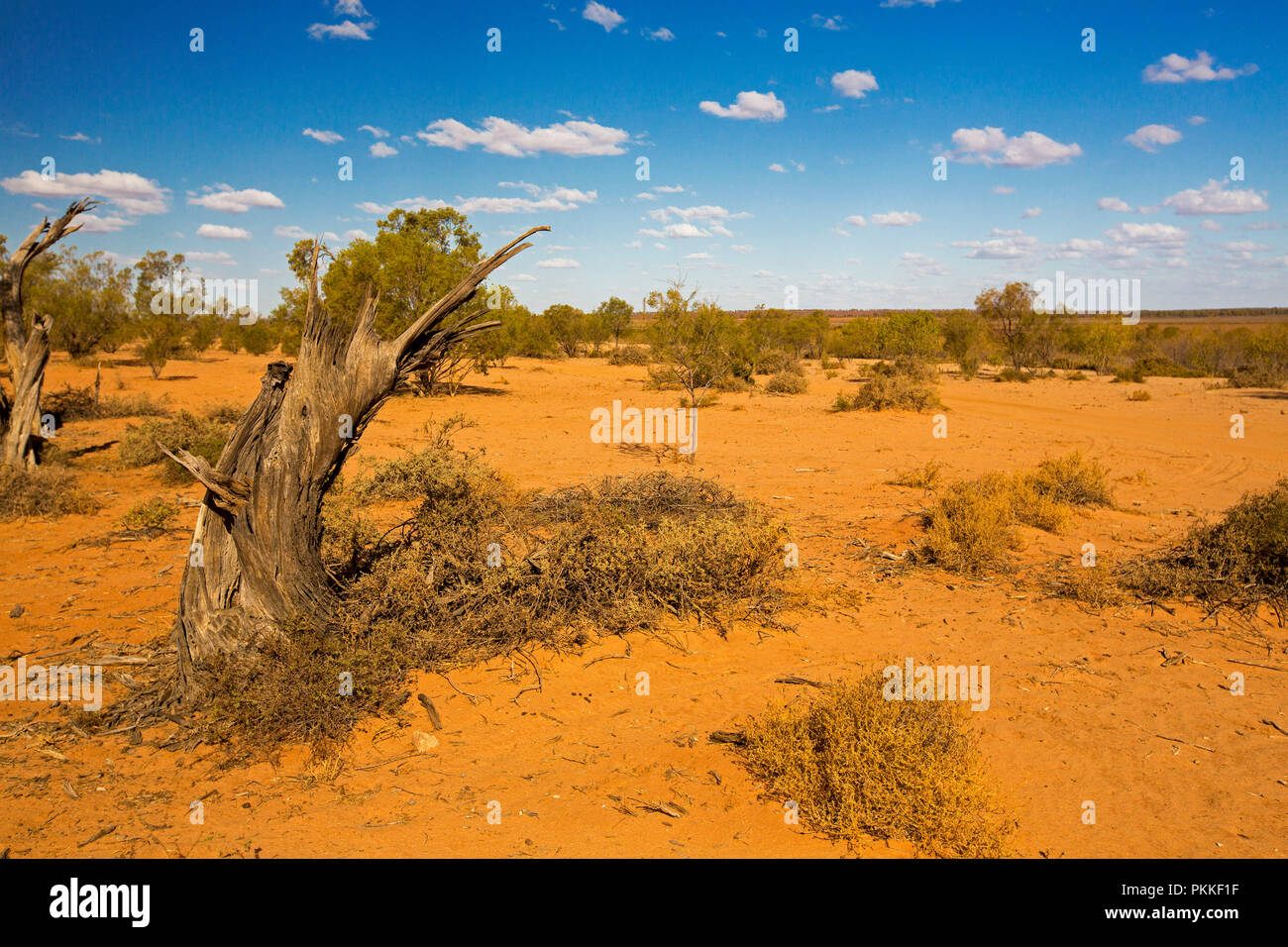 Australian outback landscape during drought with scattered vegetation ...