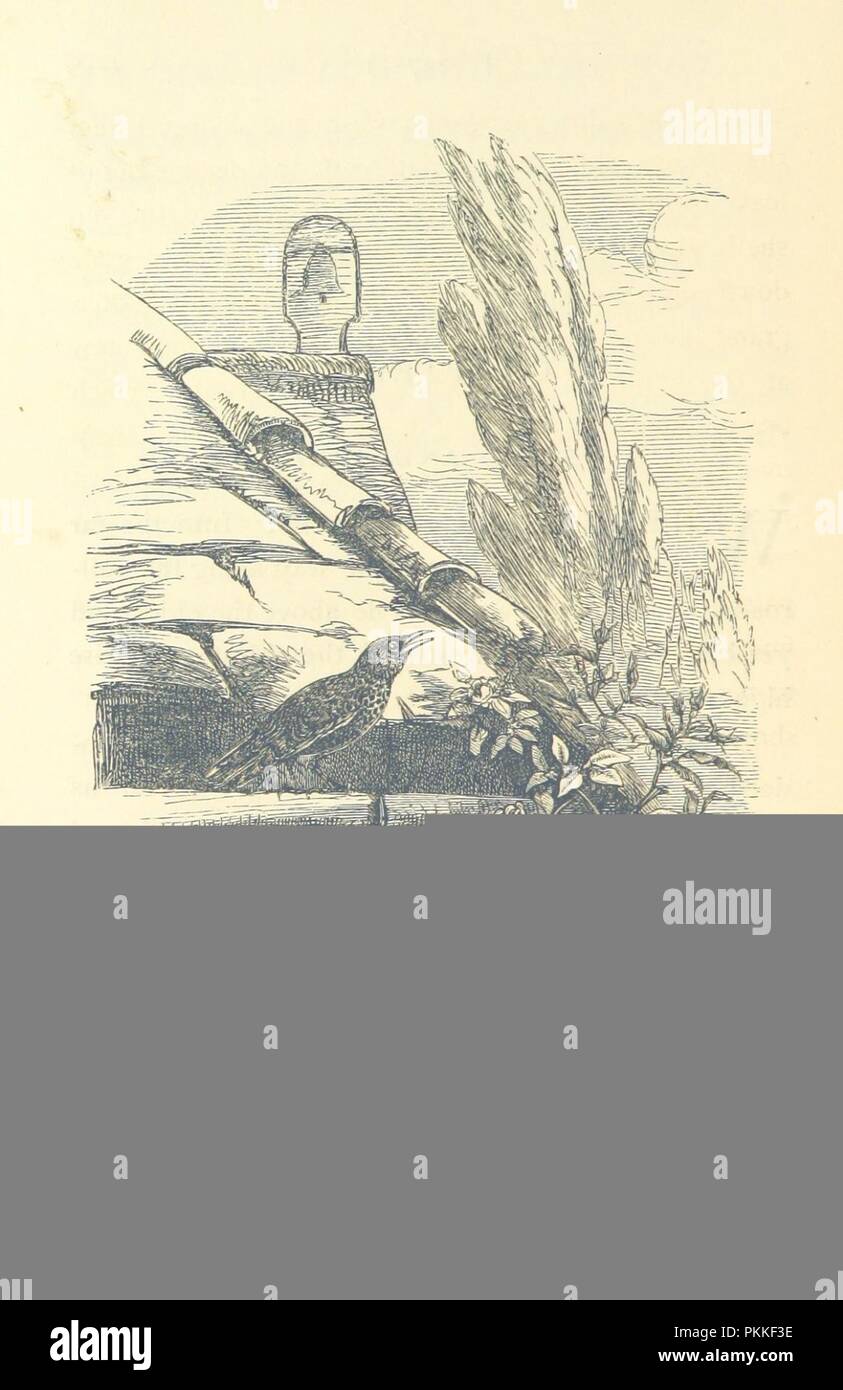 Image from page 248 of 'Madam How and Lady Why; or, first lessons in ...