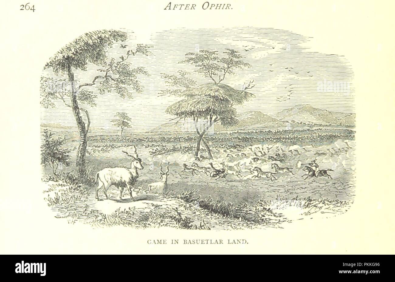 Ophir Gold High Resolution Stock Photography and Images - Alamy