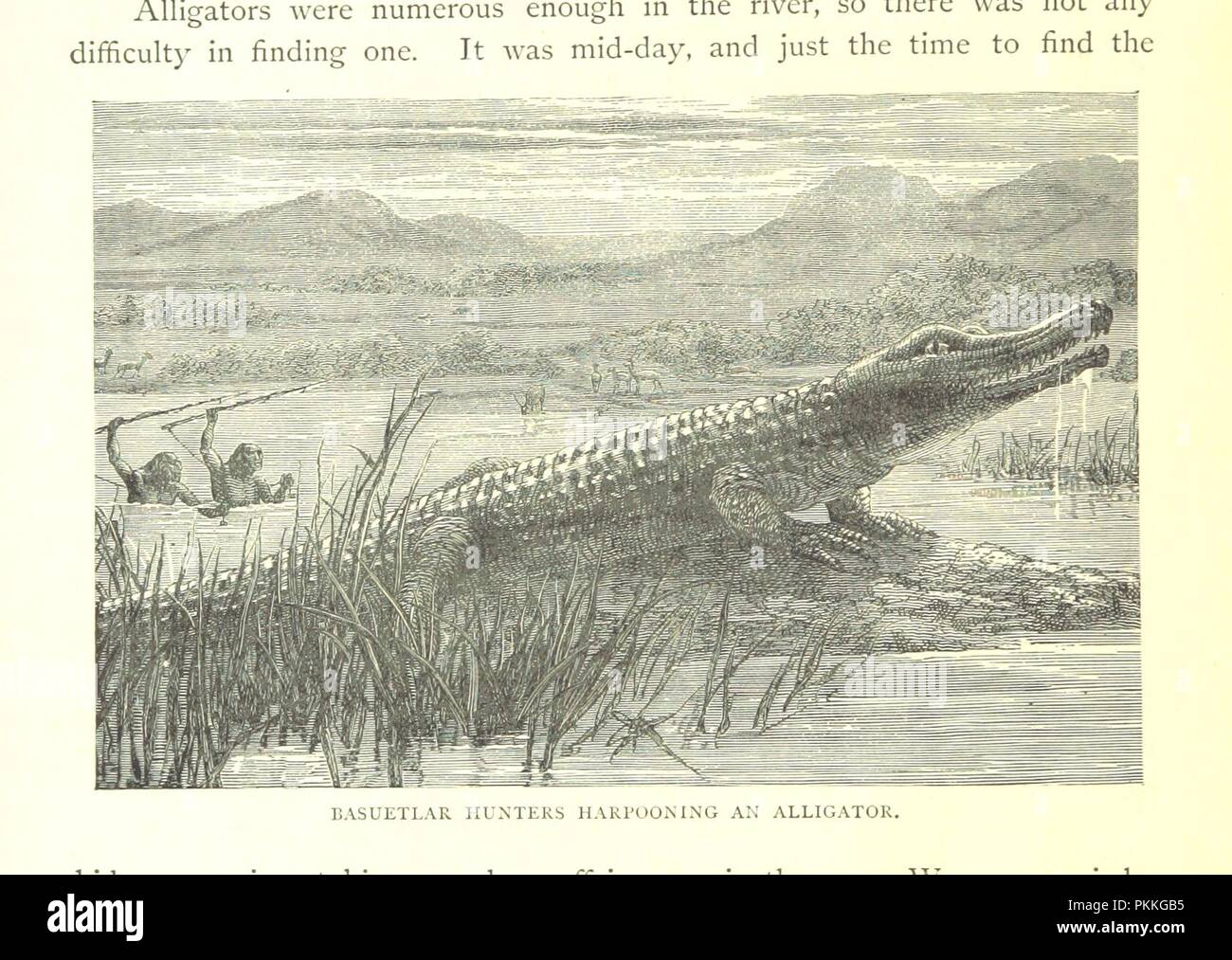 Ophir Gold High Resolution Stock Photography and Images - Alamy