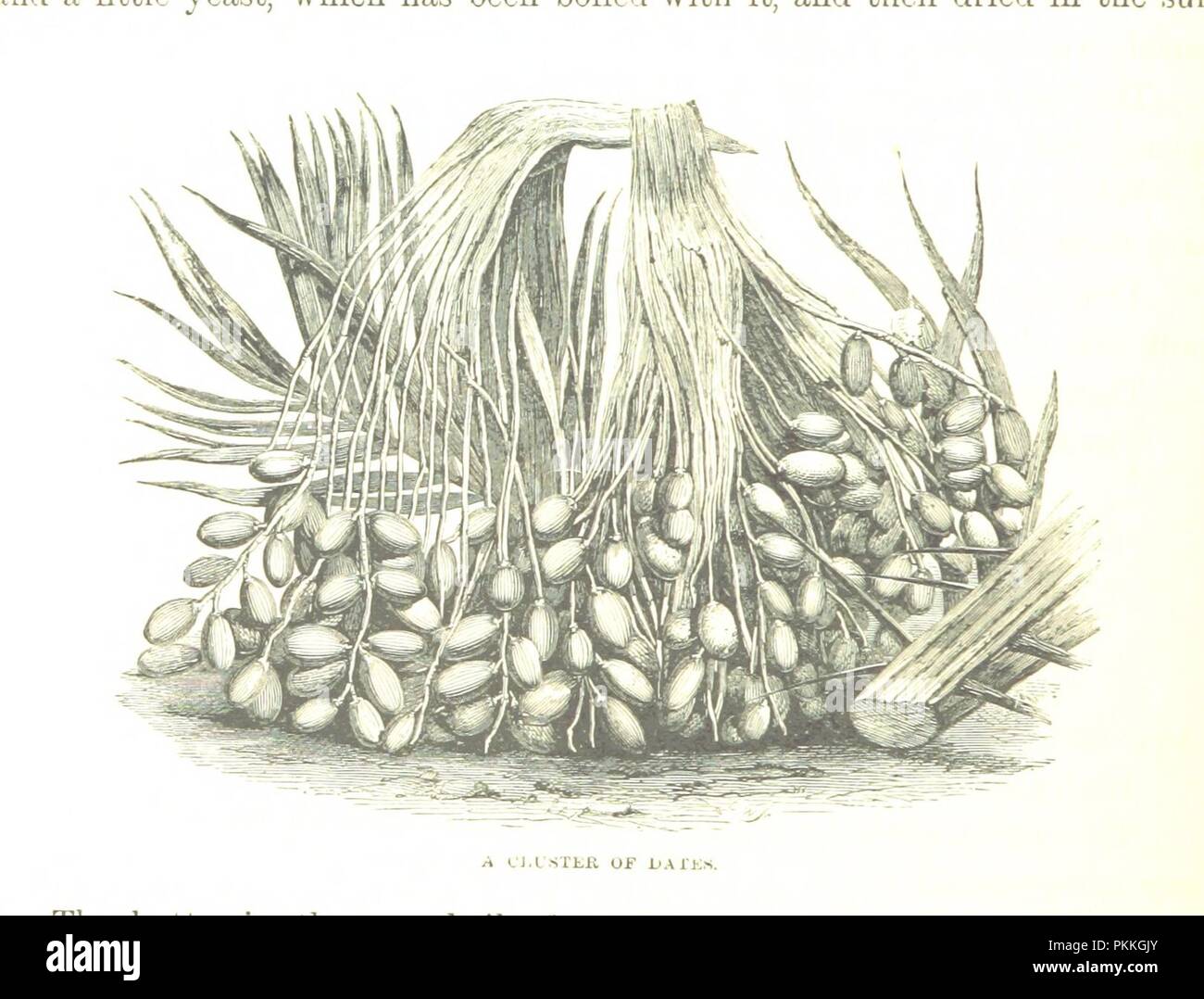 Image from page 286 of 'The World at Home; or, pictures and scenes from ...