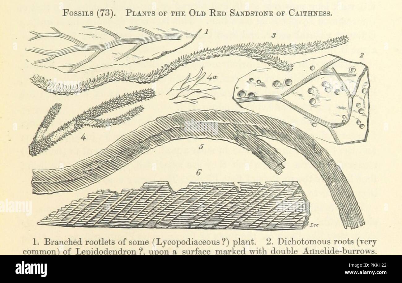 Image from page 297 of '[Siluria. The history of the oldest known rocks ...