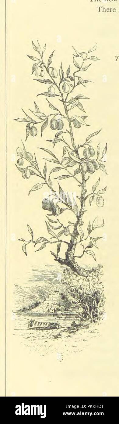 Image from page 305 of 'The Illustrated Book of Sacred Poems. Edited by ...