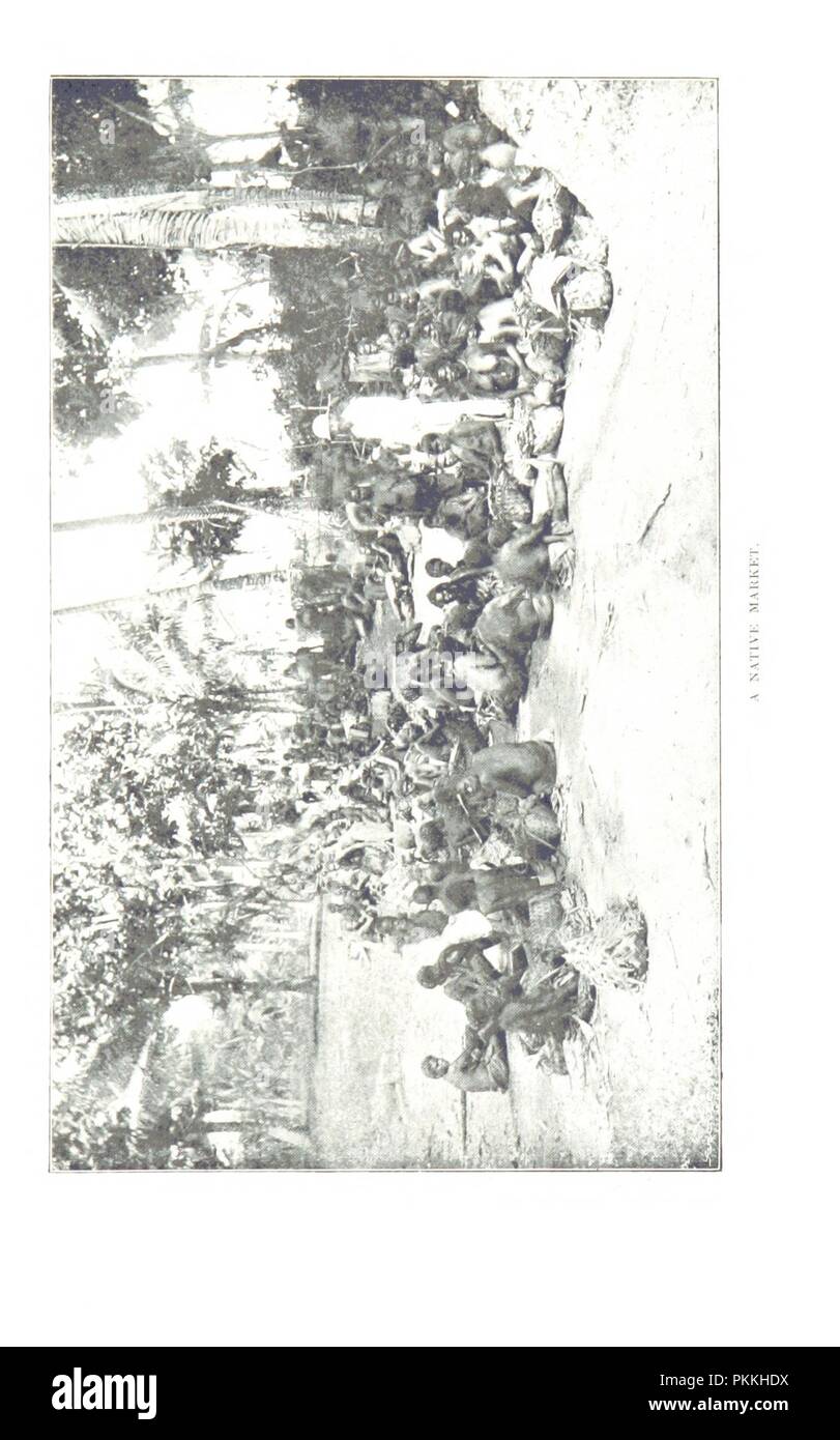 Image from page 305 of 'Through New Guinea and the Cannibal Countries ...