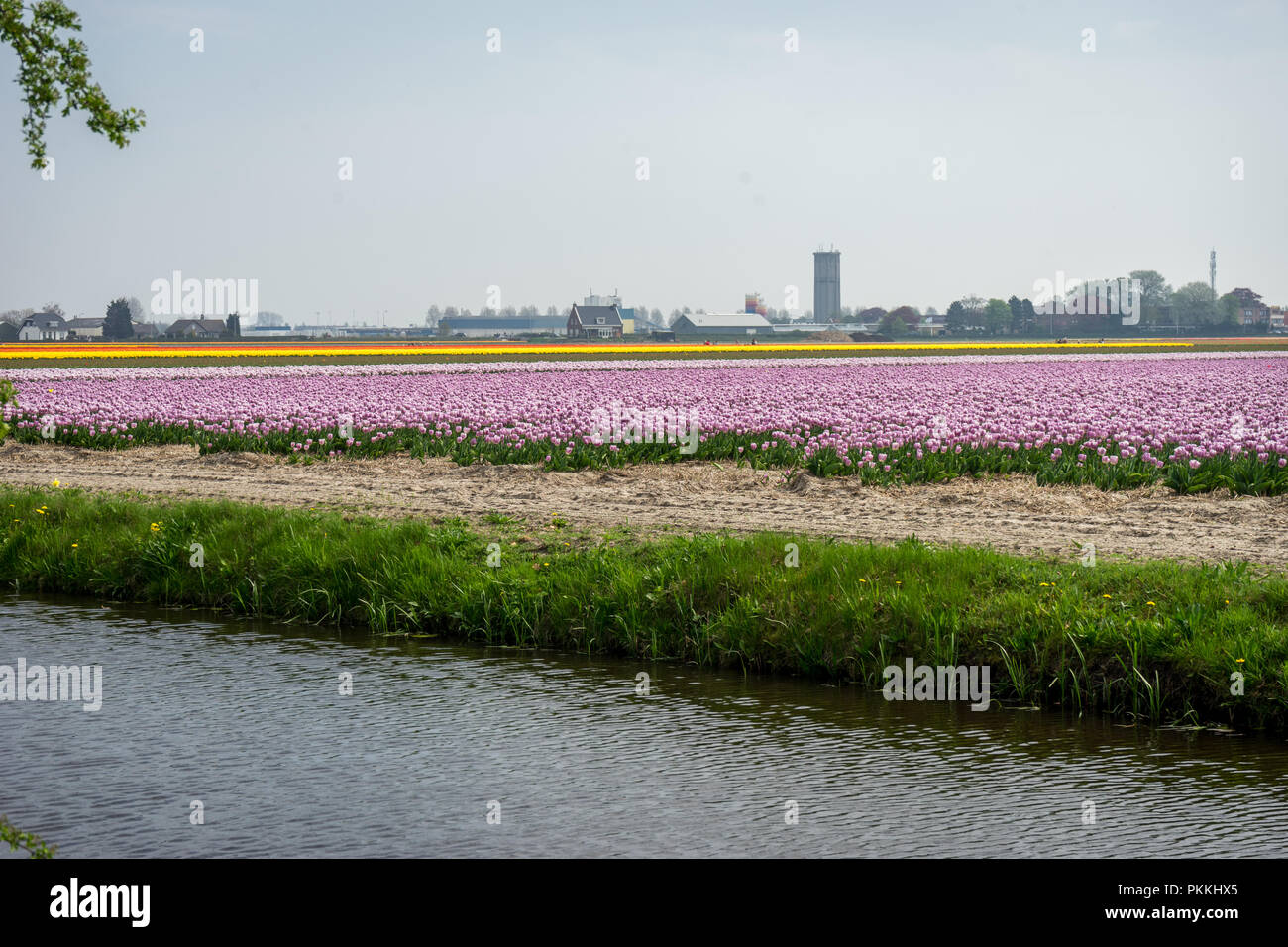 Netherlands,Lisse,Europe, a bridge over a body of water Stock Photo - Alamy