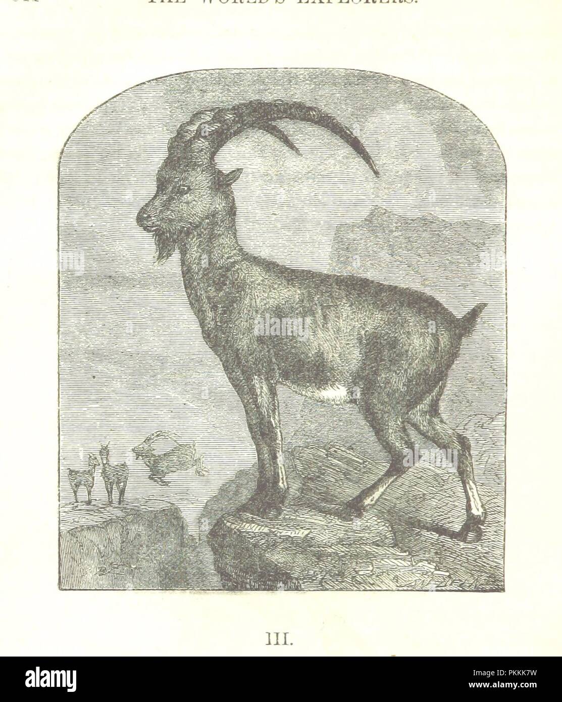 Image from page 358 of 'The World's Explorers; or, travels and ...