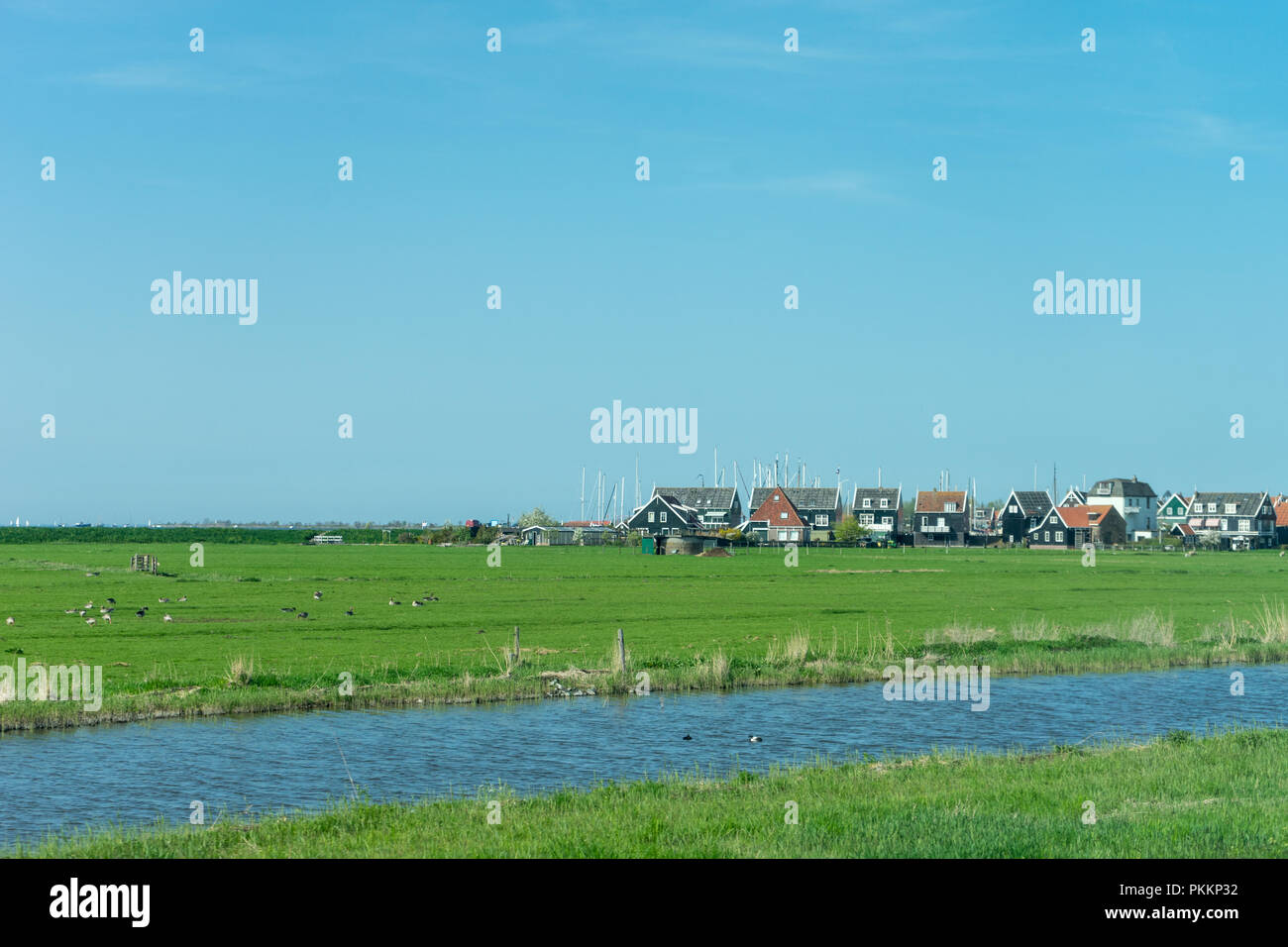 Netherlands,Wetlands,Maarken,Europe, a large green field Stock Photo ...