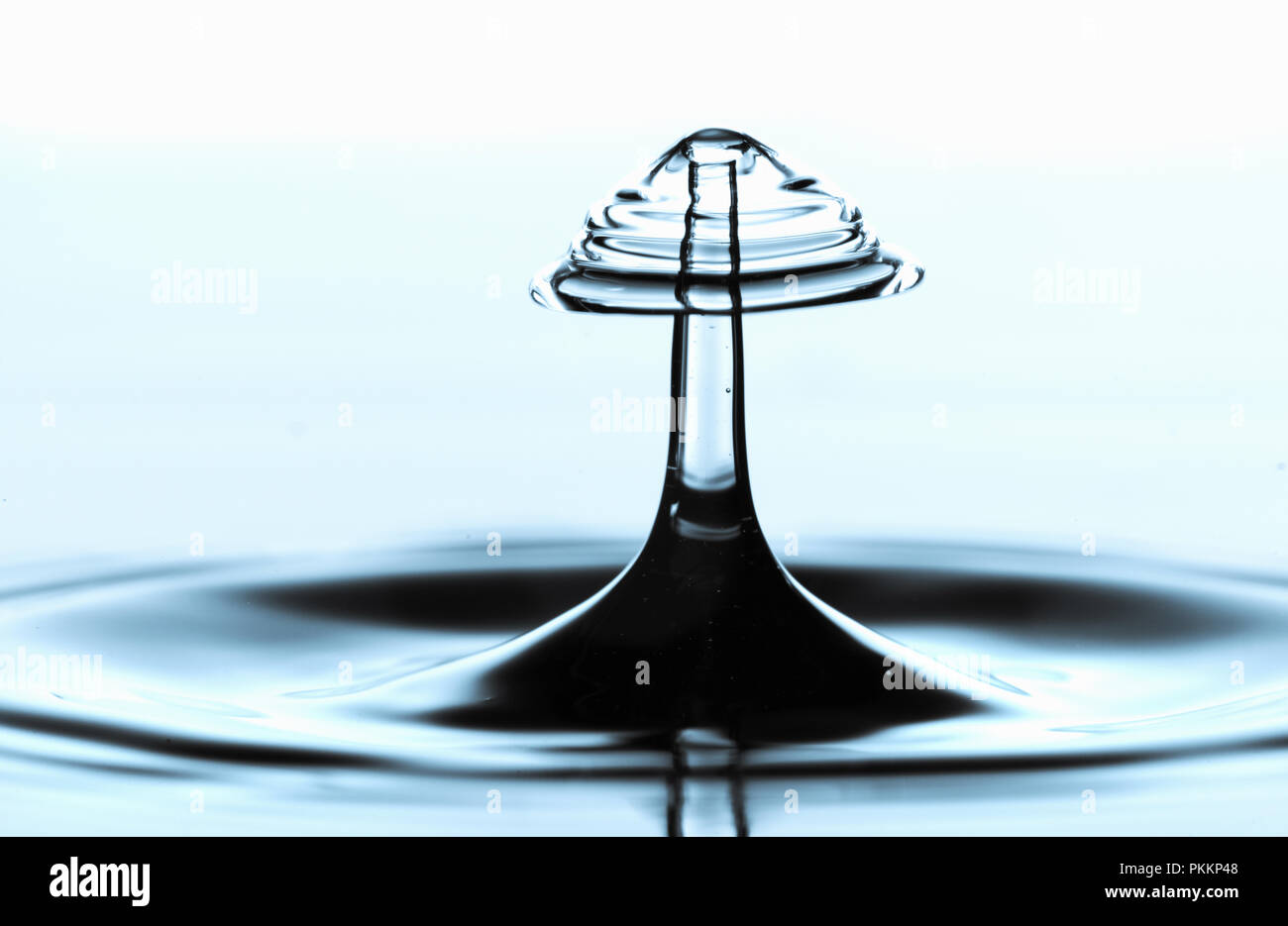 splash of the falling drops of water, collision drops Stock Photo - Alamy