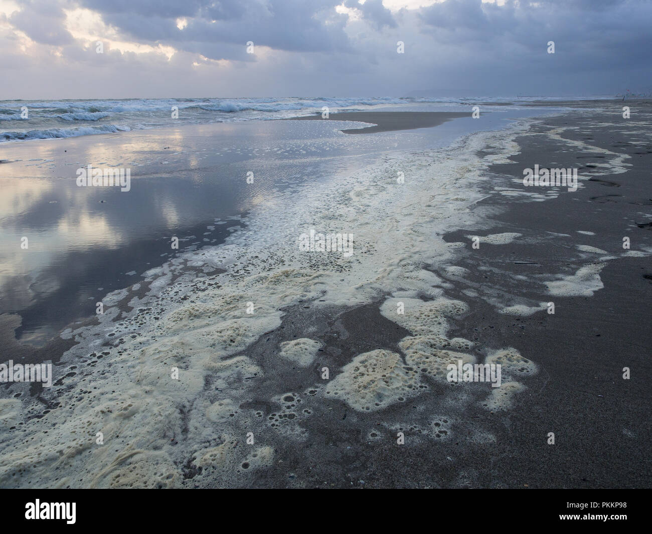 foam caused by pollution of the ocean on the beach in a cloudy day ...