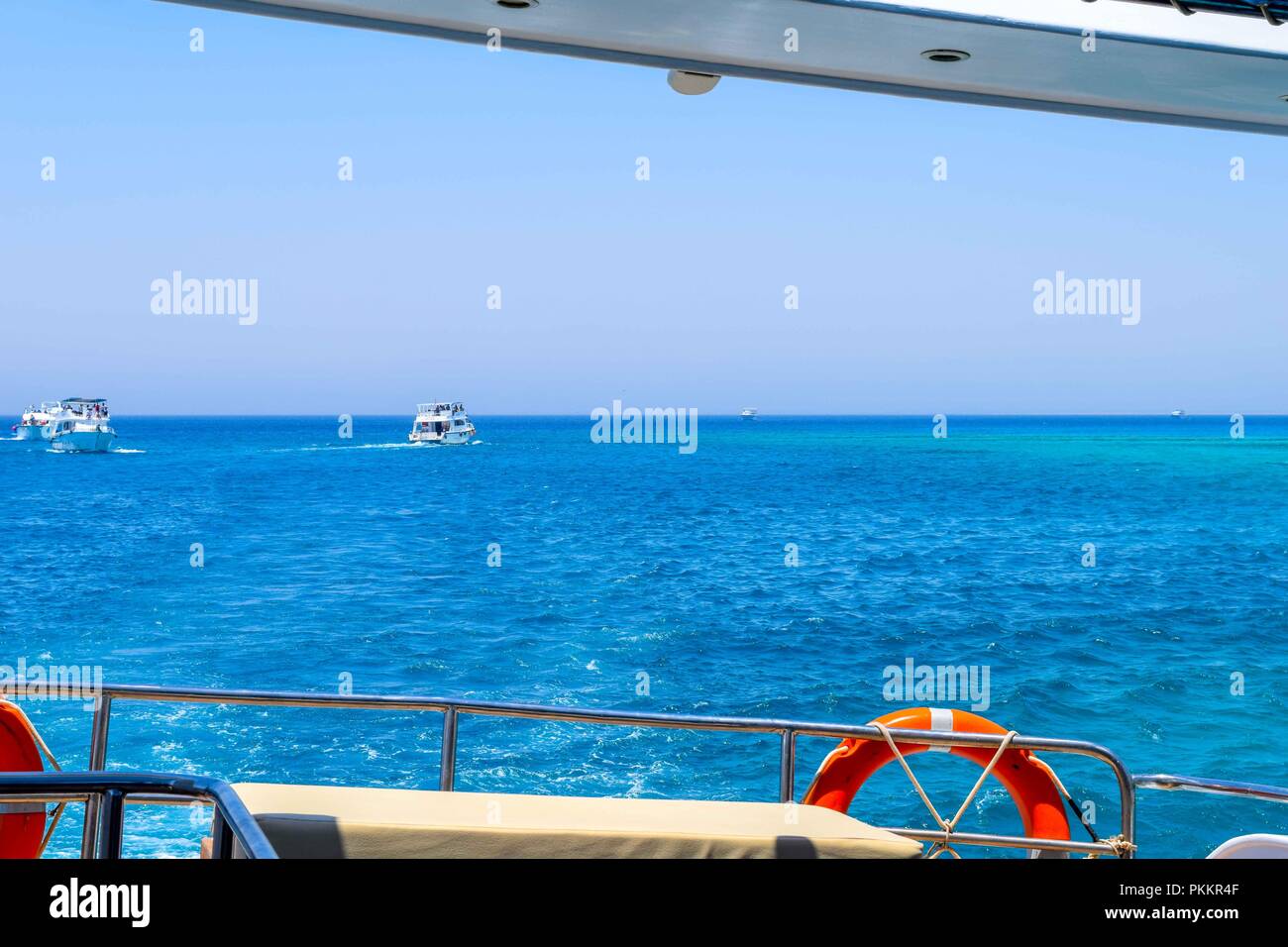 Ocean behind bird hi-res stock photography and images - Alamy