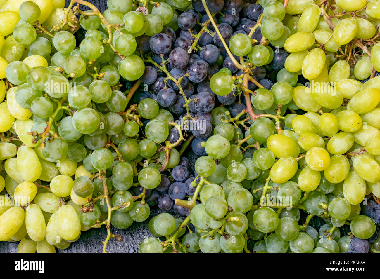 Mix of Fresh grapes on the boards, tasty food, rich of resveratrol ...