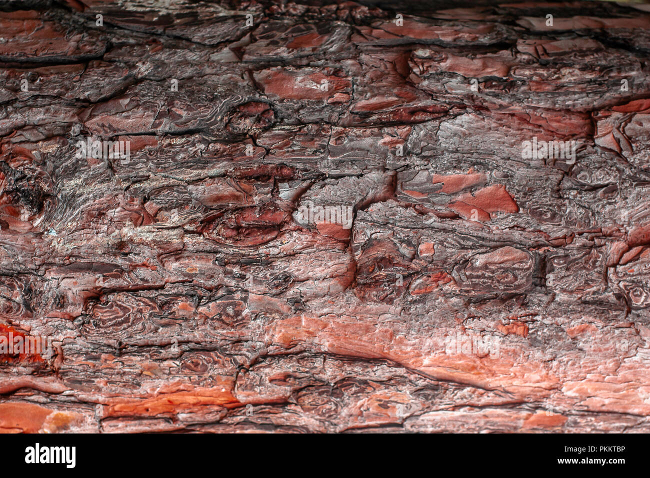 Mortared stone walls hi-res stock photography and images - Alamy