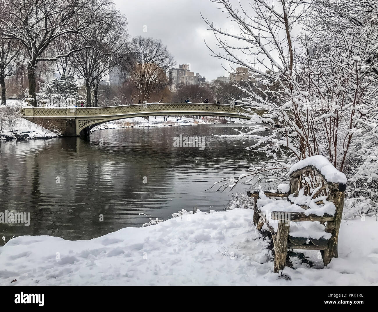 The Bow Bridge is a cast iron bridge located in Central Park, New York ...