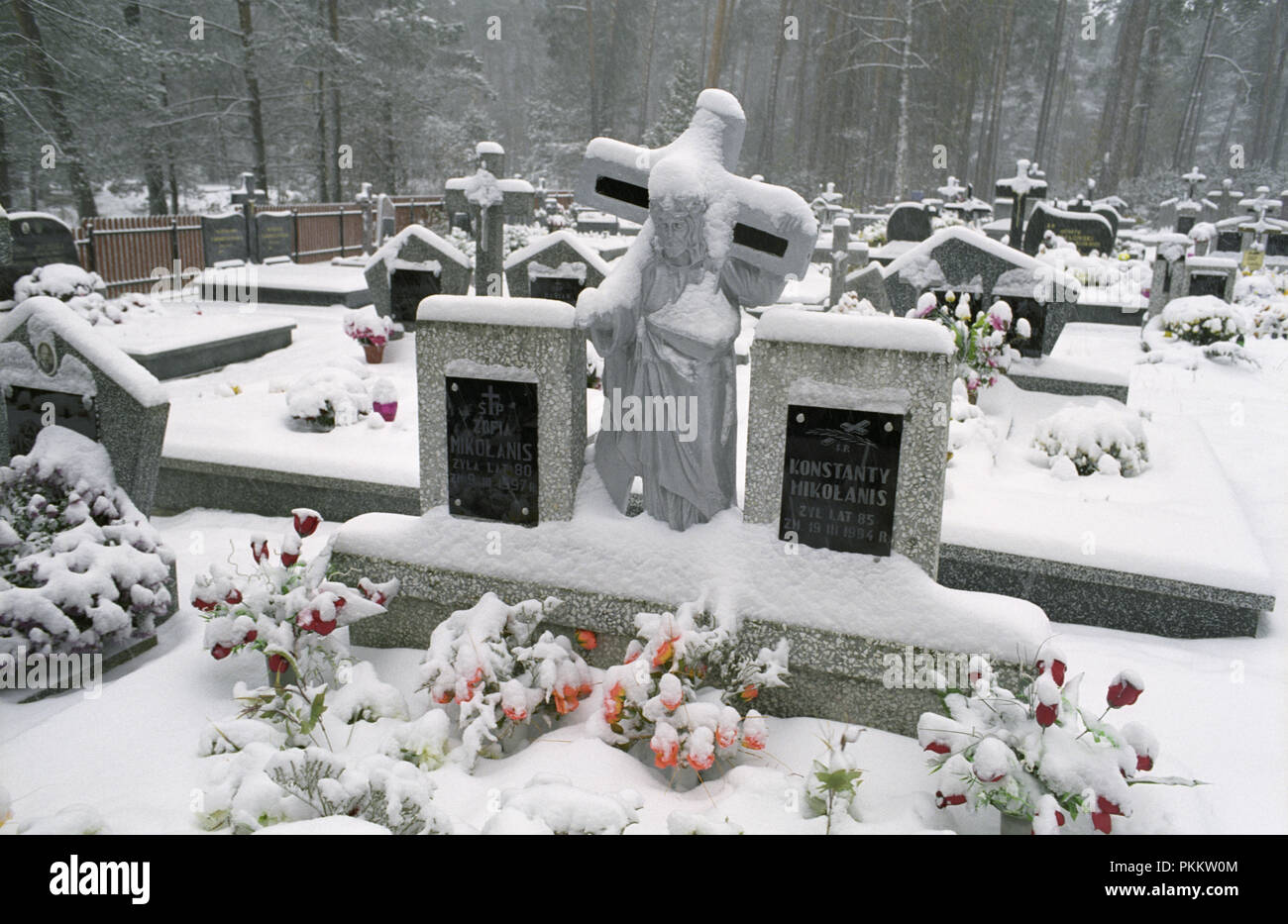 Cemetery in the village of Studzieniczna in the Augustow Forest in ...