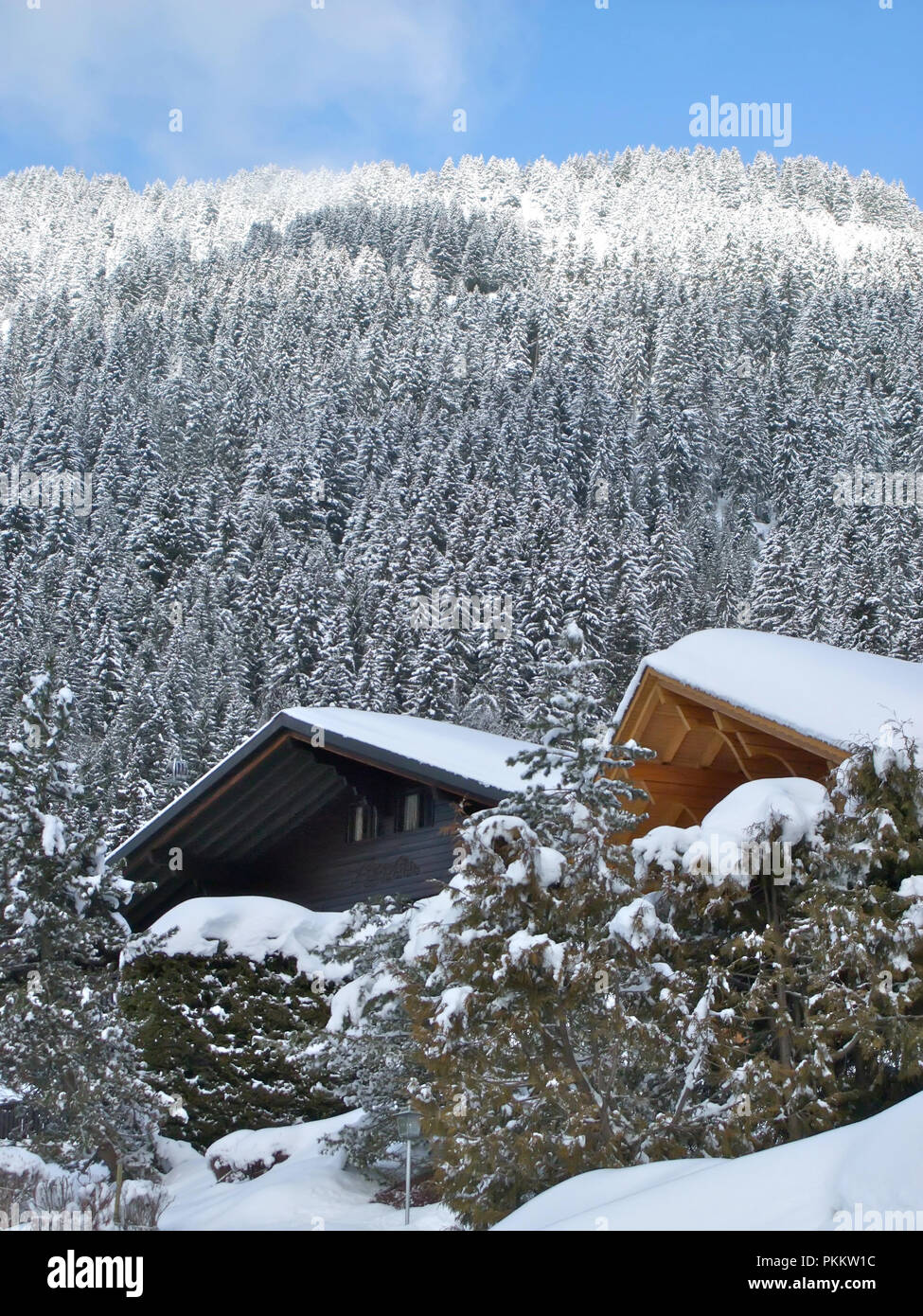 Wooden cottage in Swiss Alps Stock Photo - Alamy
