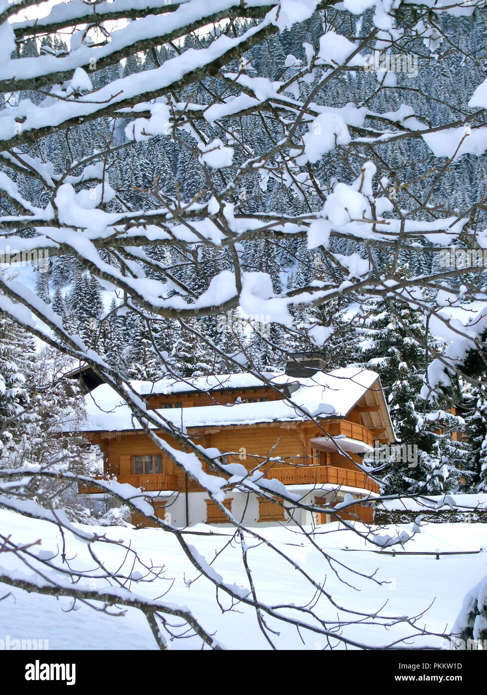 Wooden cottage in Swiss Alps Stock Photo - Alamy