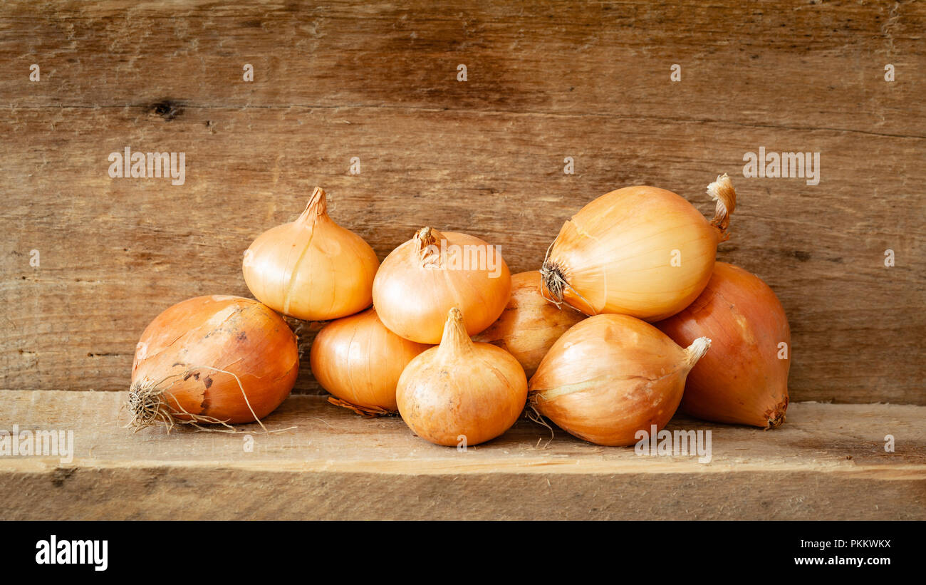 Golden gourmet onion hi-res stock photography and images - Alamy