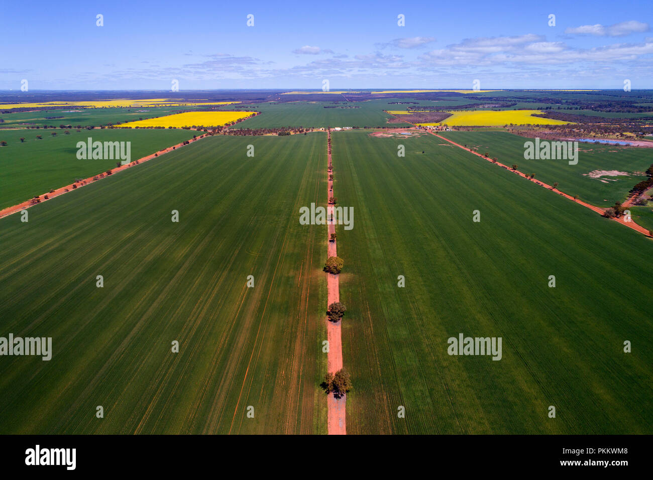 Australian wheat fields hi-res stock photography and images - Alamy