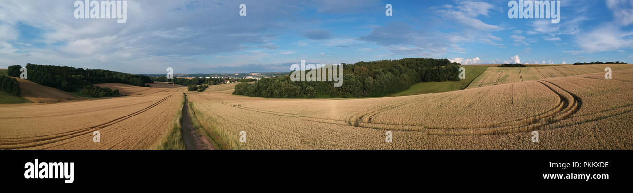 panorama rural summer landscape with a road Stock Photo - Alamy