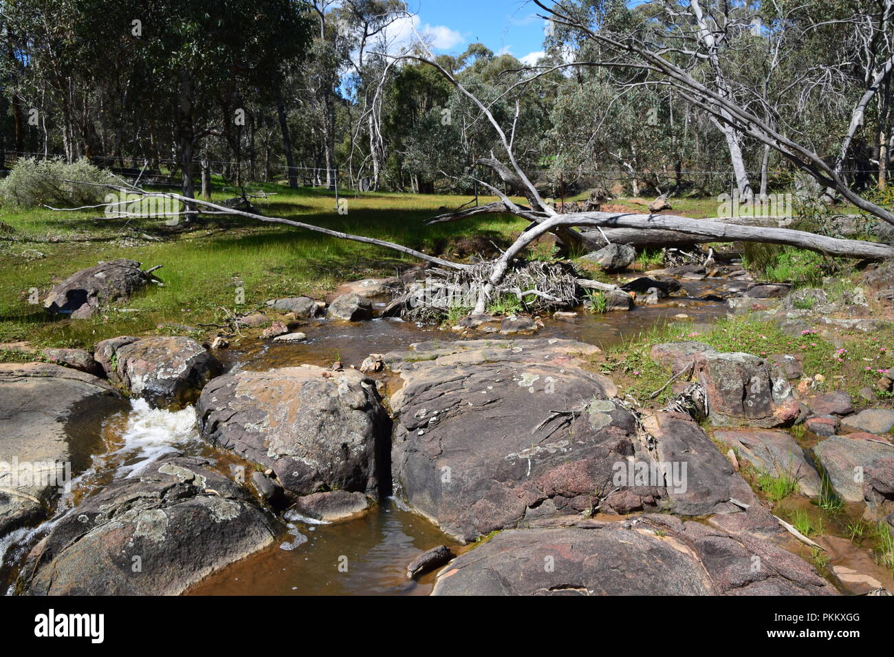 Western australian bush hi-res stock photography and images - Alamy
