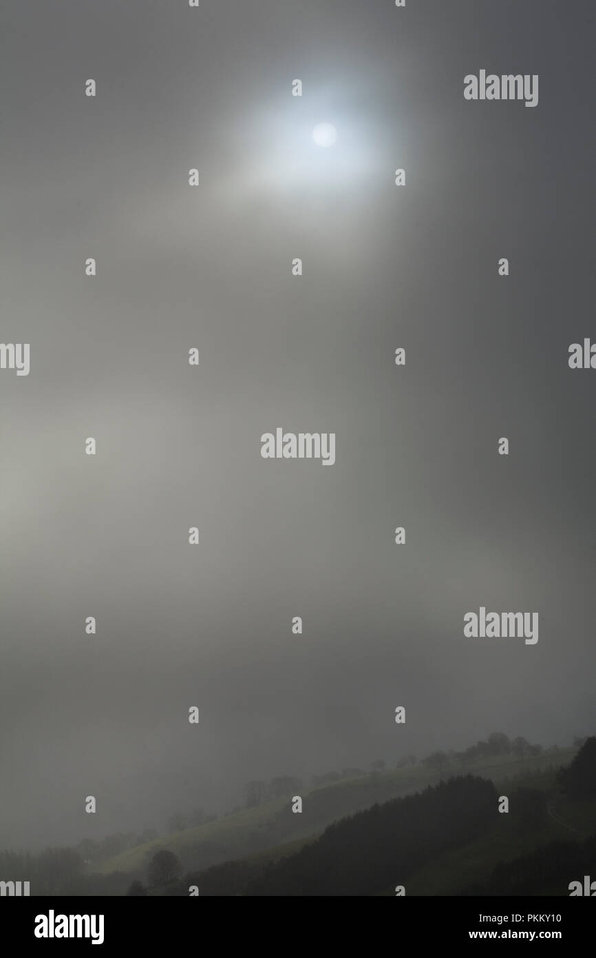 Sun shining through fog over trees Stock Photo - Alamy