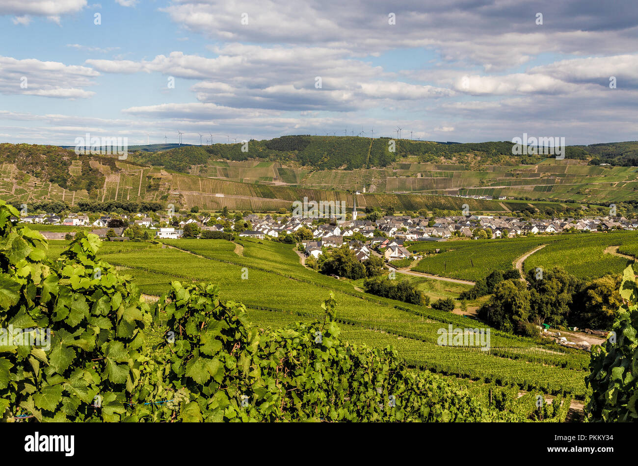 Leiwen hi-res stock photography and images - Alamy