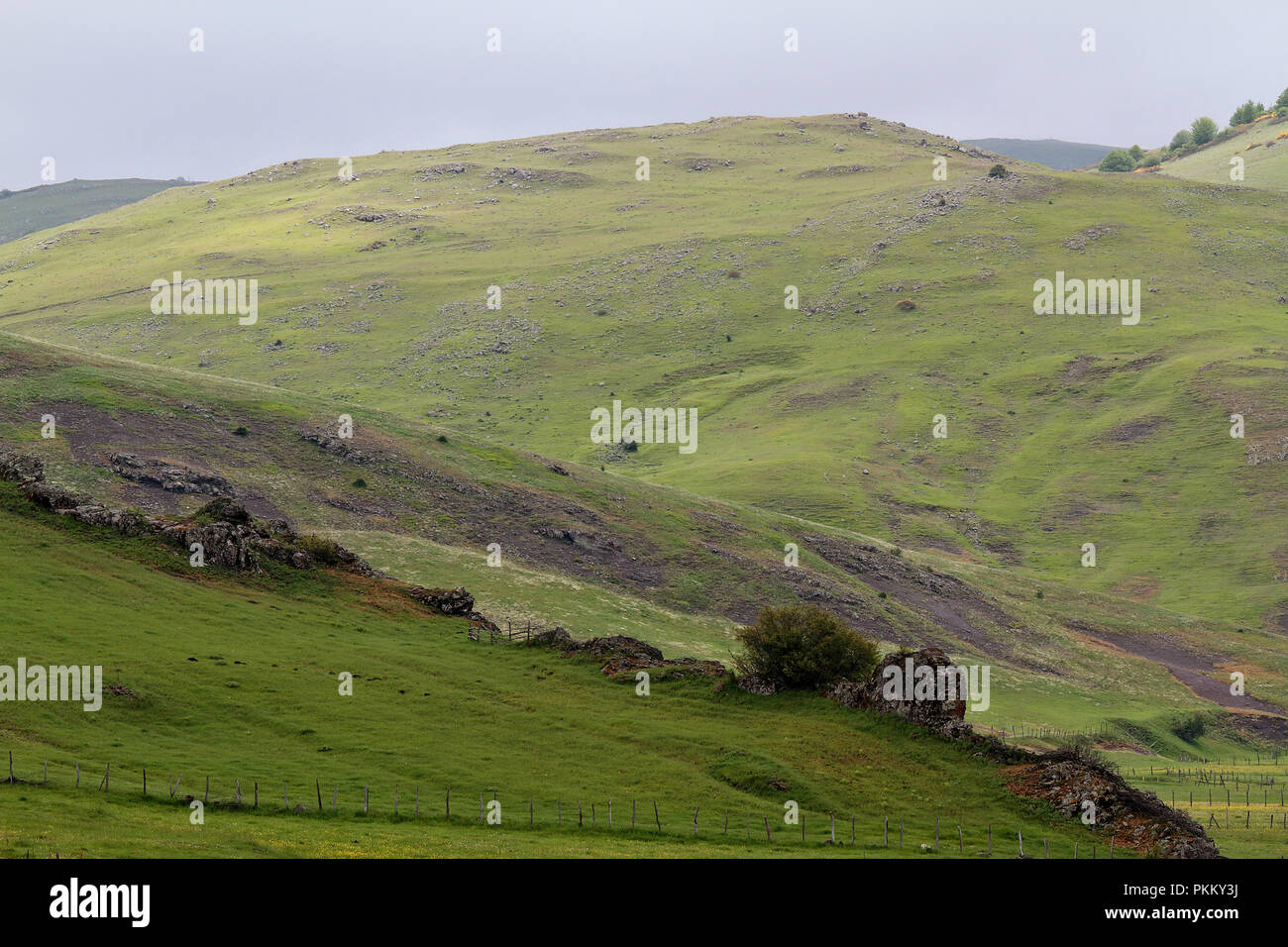 Field desolate sky light hi-res stock photography and images - Alamy