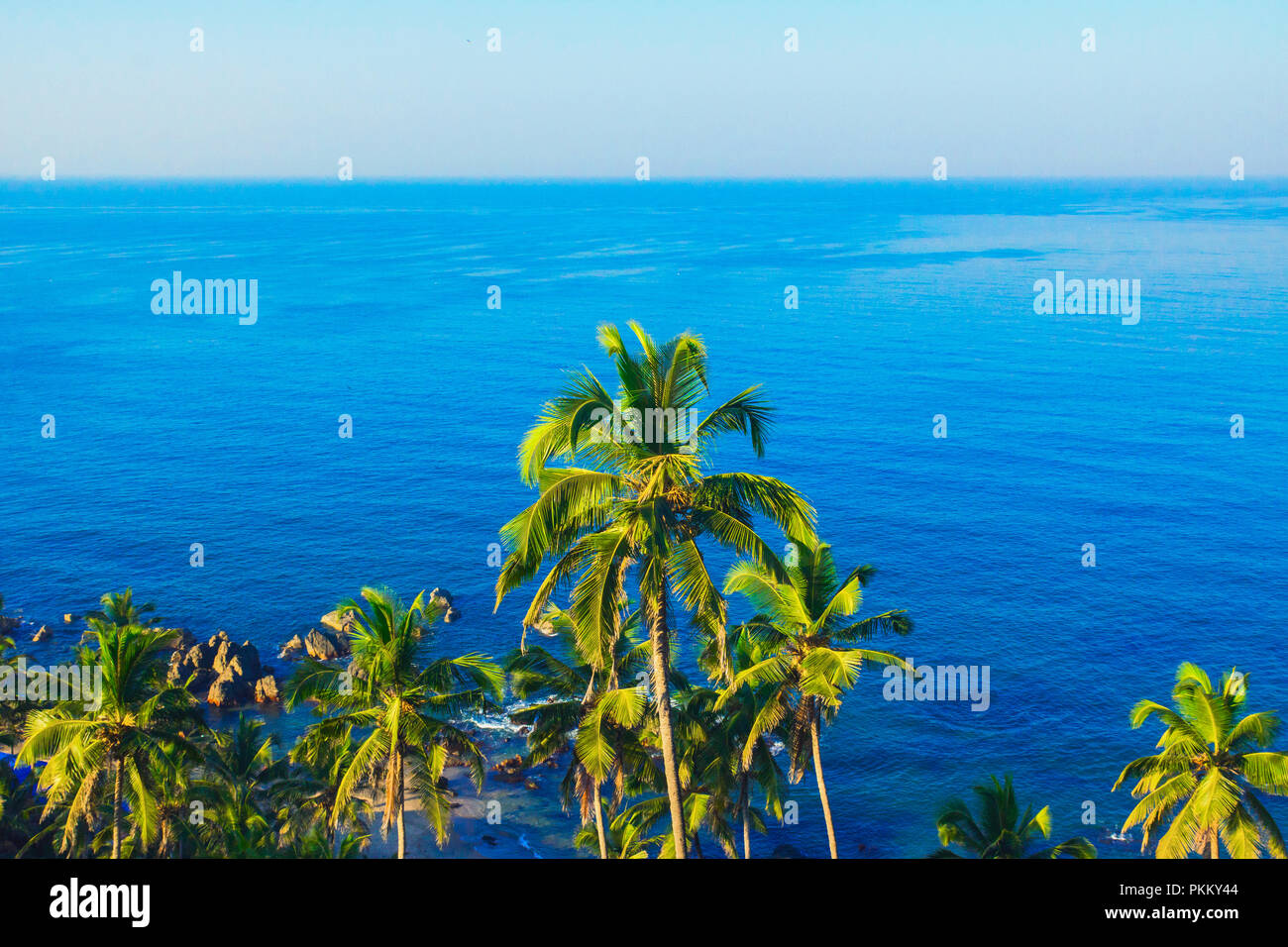 Tropical landscape from above the coastal aerial view drone shot. Palm ...