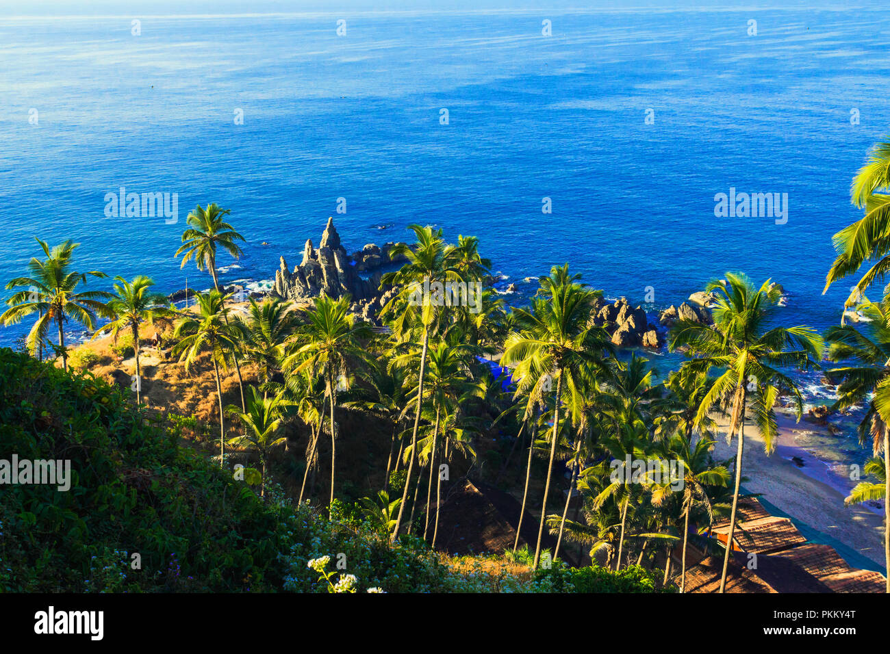 Tropical landscape from above the coastal aerial view drone shot. Palm ...