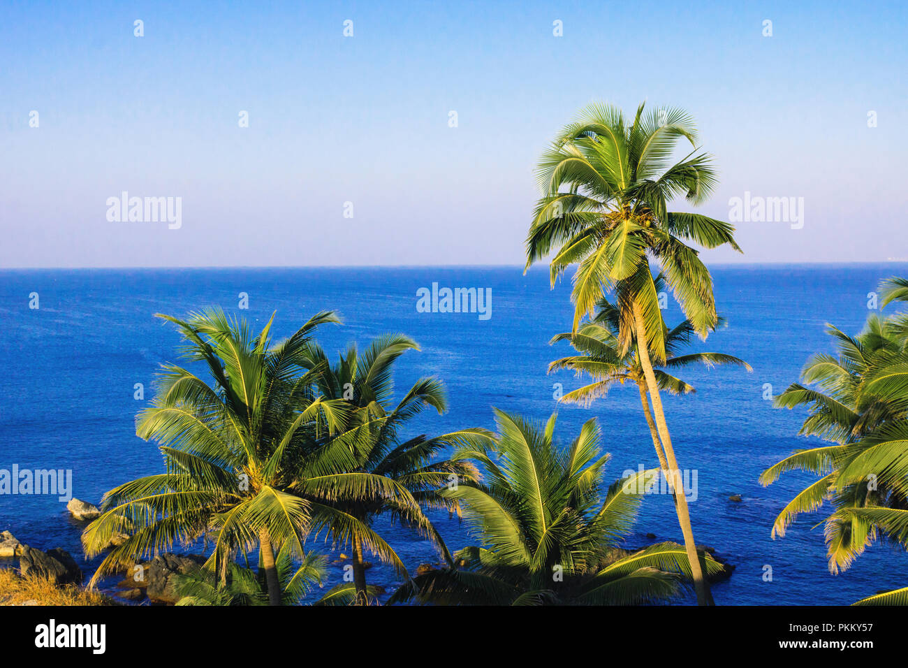 Tropical Paradise view landscape coastal aerial view. Palm forest and ...
